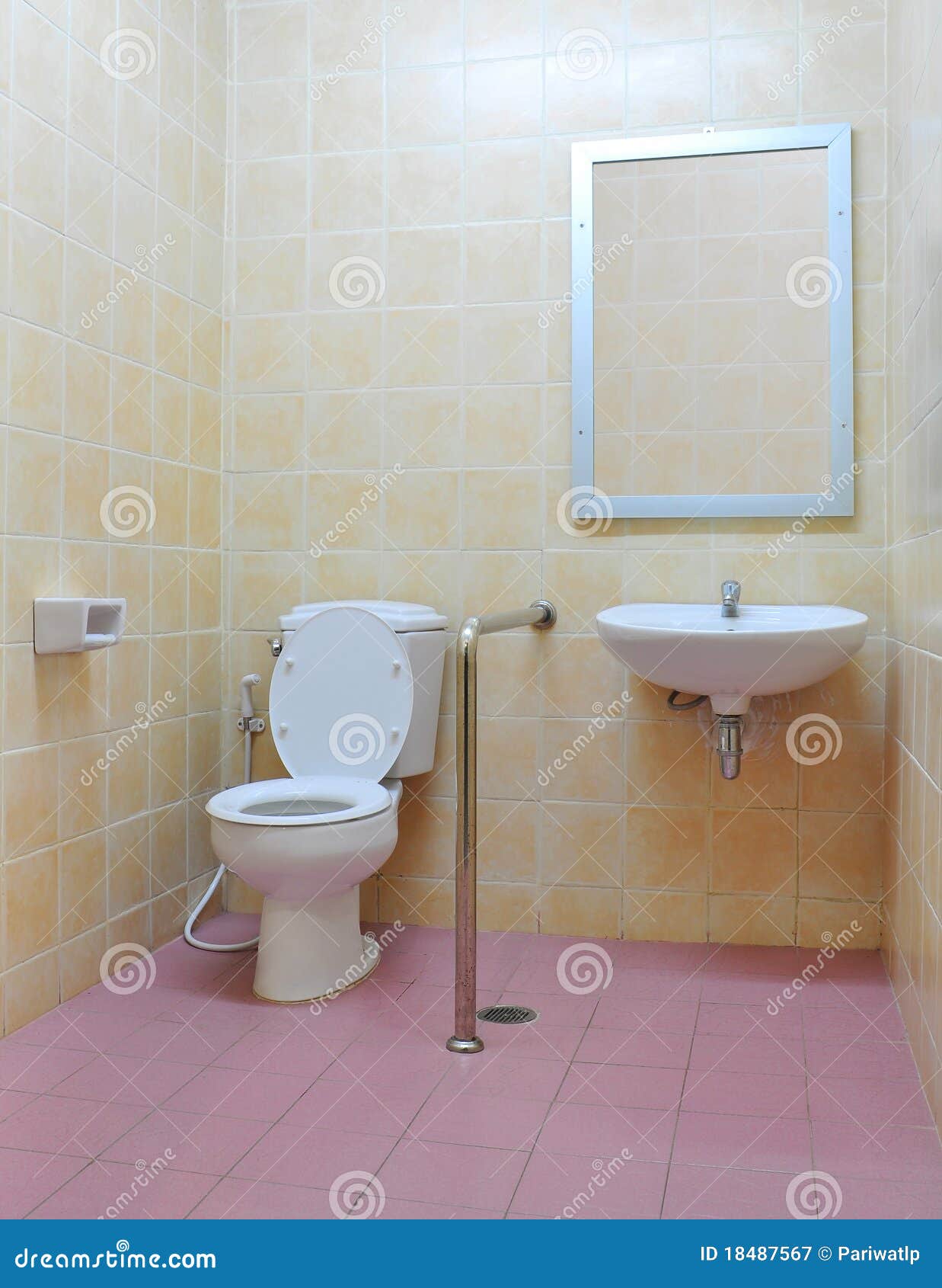 Disabled toilet stock image. Image of mirror, interiors - 18487567