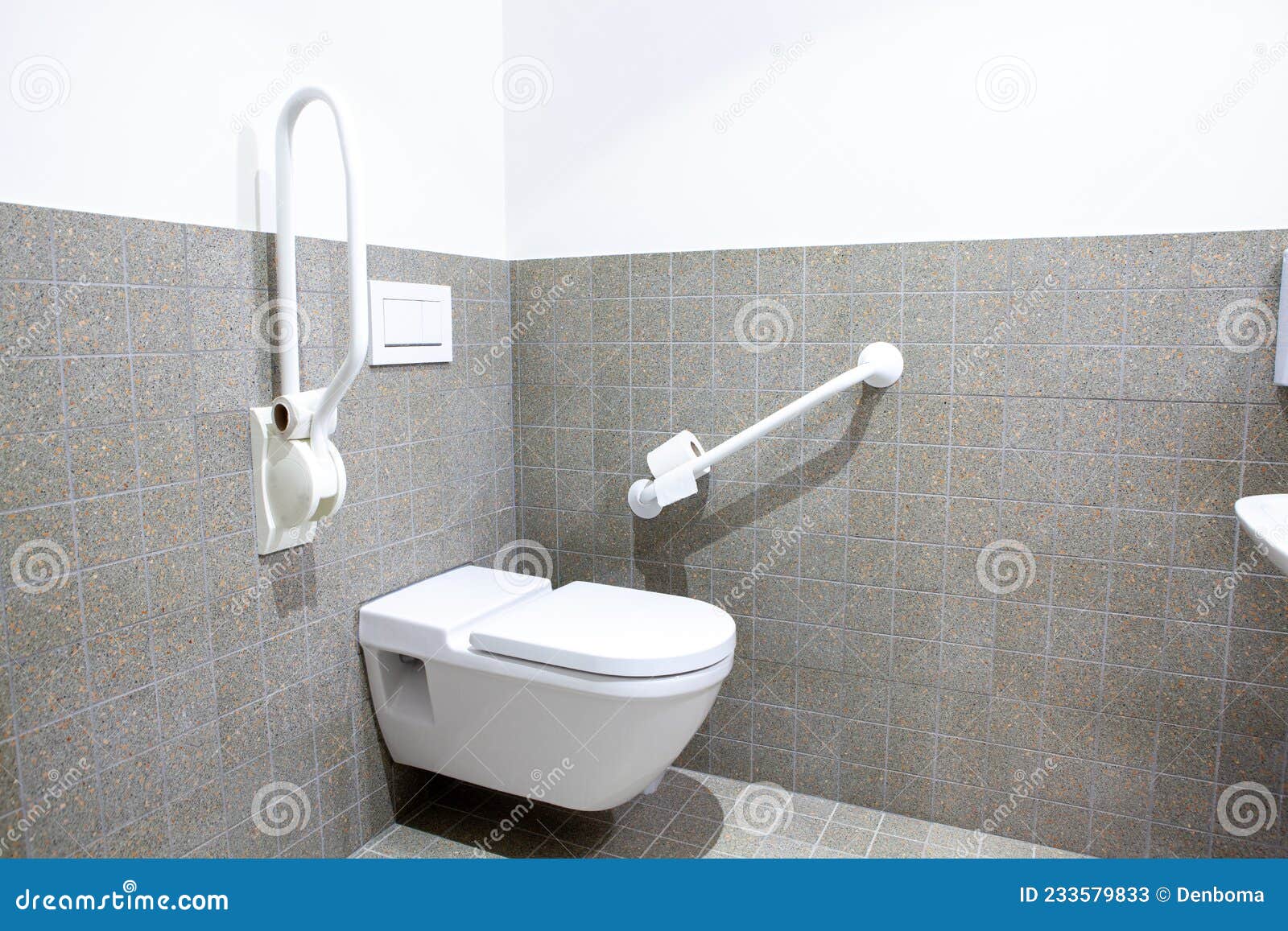 An disabled toilet stock image. Image of style, modern - 233579833