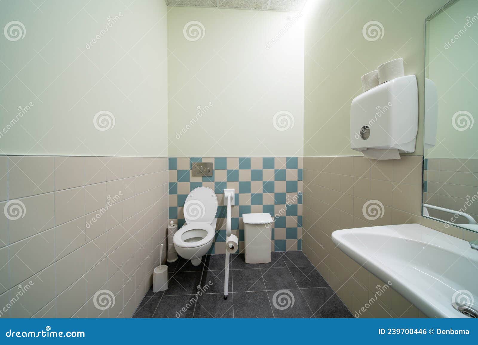 An disabled toilet stock photo. Image of luxury, objects - 239700446