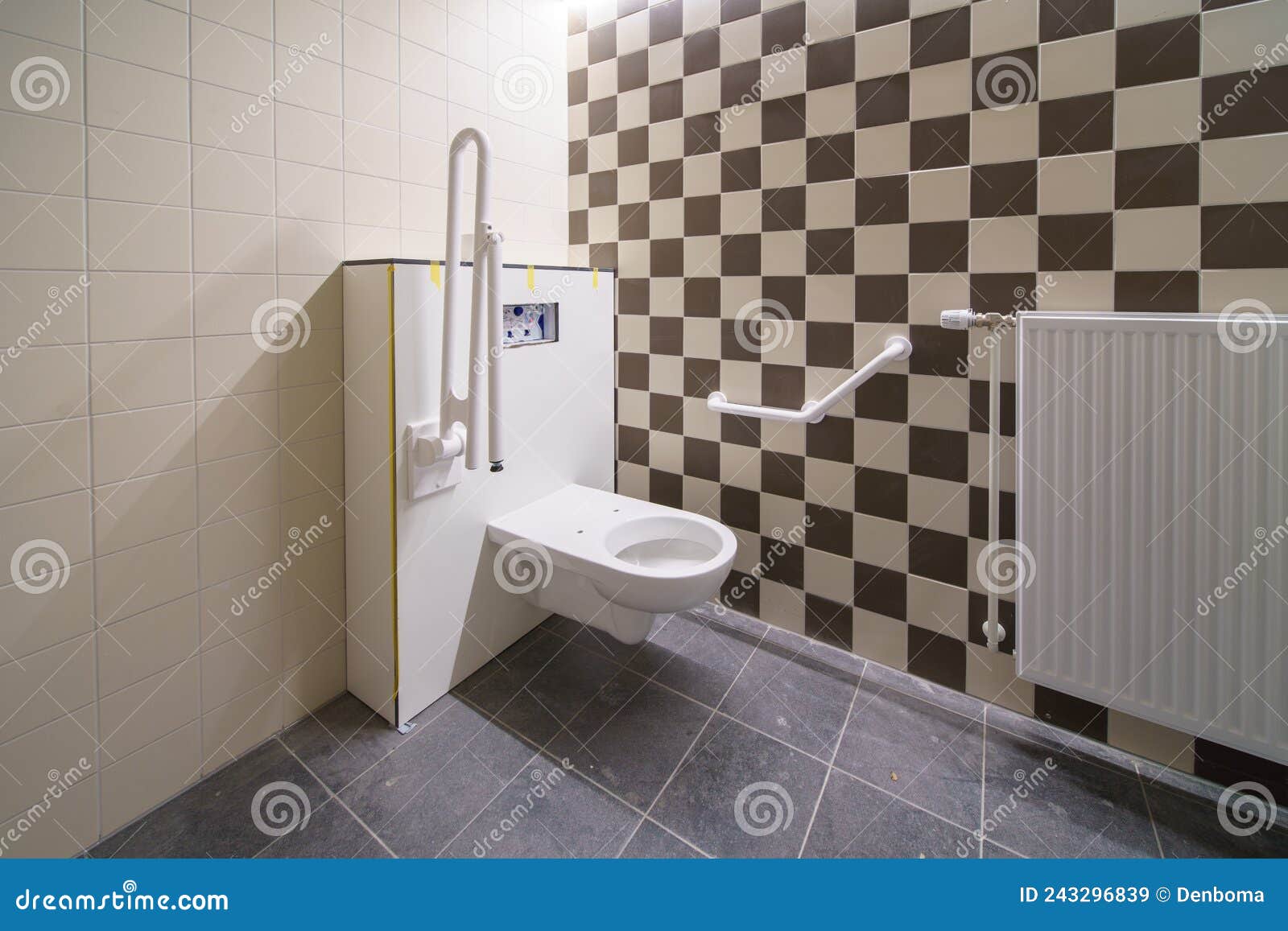 An disabled toilet stock image. Image of hanging, luxury - 243296839