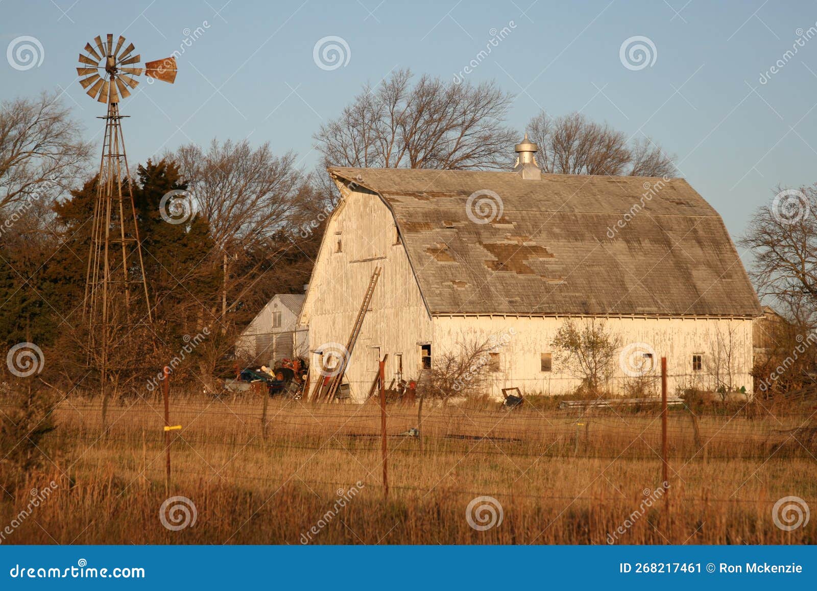 White Farm Barn beside a Windmill Stock Image - Image of calves ...