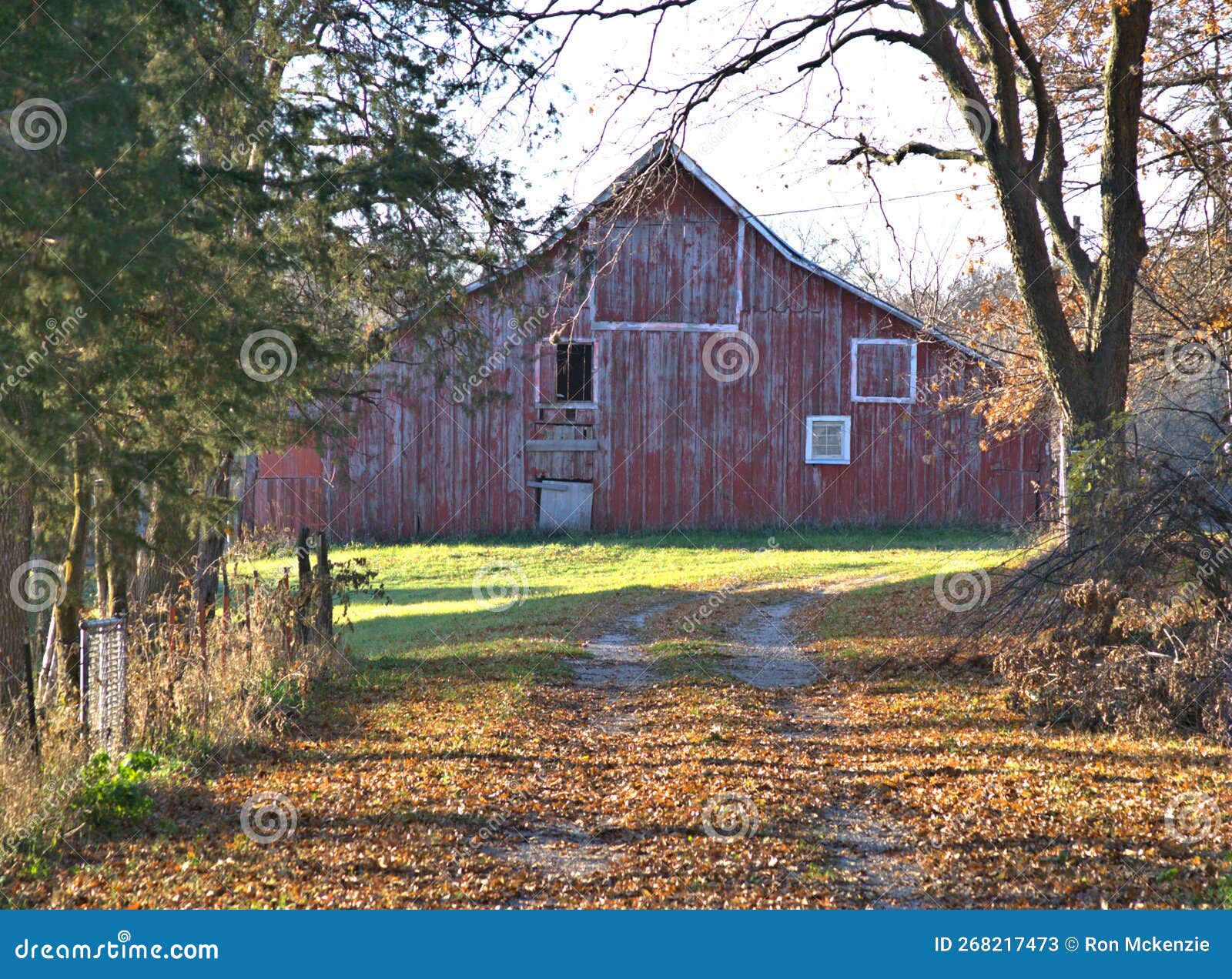 Disappearing from Our Landscape Stock Image - Image of dairy, covered ...