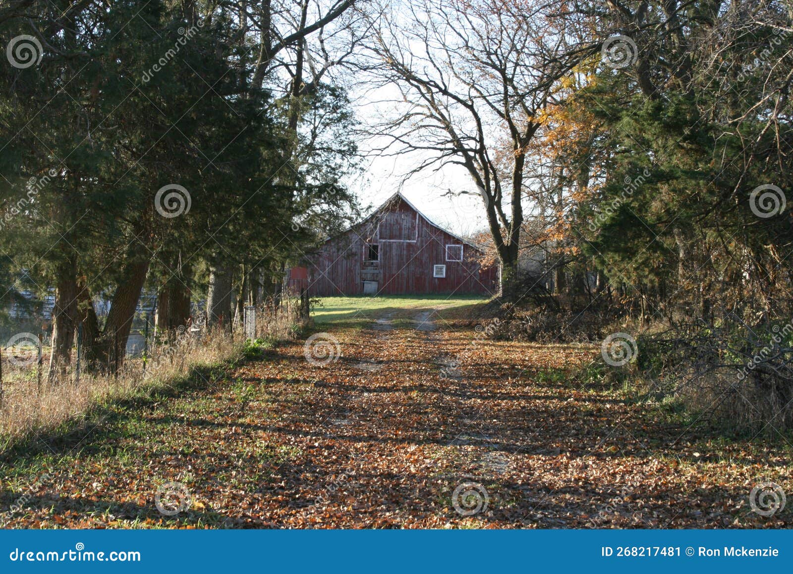 Disappearing from Our Landscape Stock Image - Image of disappearing ...