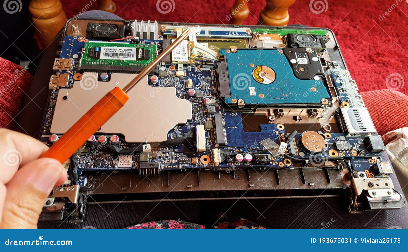 Fixing the Computer with a Screwdriver Stock Image - Image of holding ...