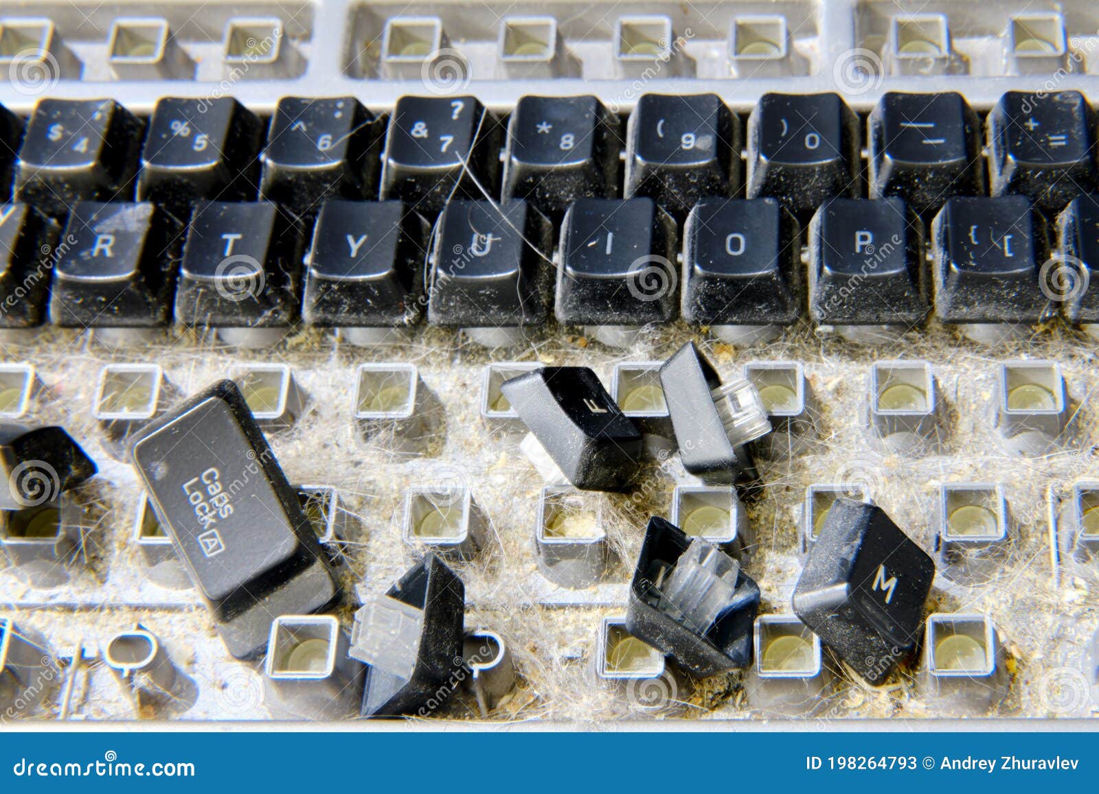 Disassembled Keyboard with Garbage Inside Prepared for Cleaning Stock ...