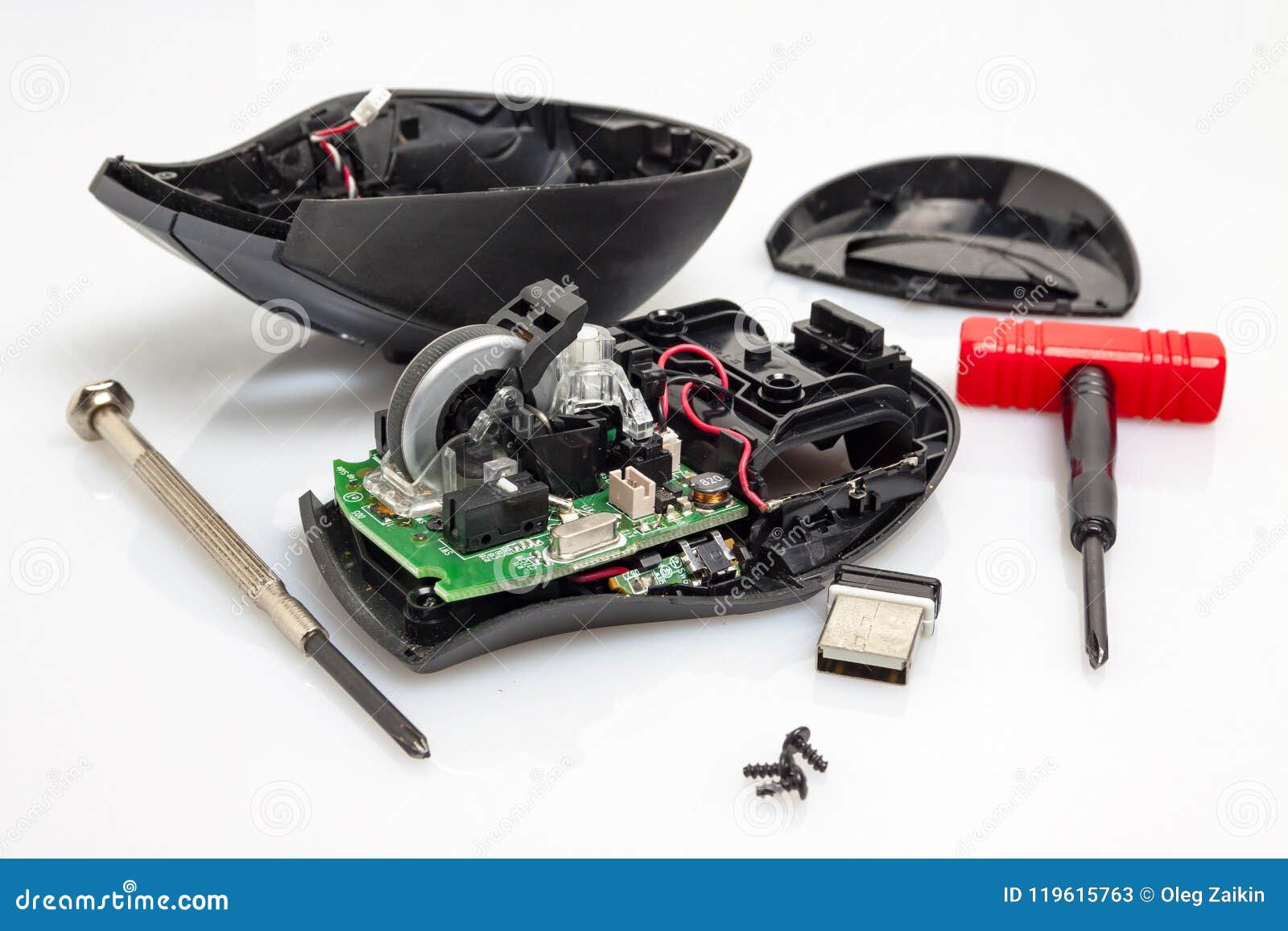 Dismantled the Computer Mouse Stock Image - Image of open, circuit ...