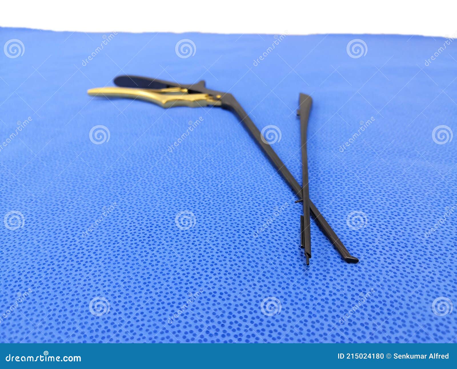 Disassembly of Surgical Instrument Kerrison Punch Forceps Stock Photo ...