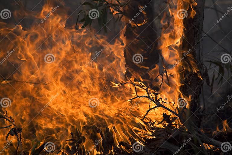 Disaster with fire stock image. Image of evil, wood, blaze - 5401853