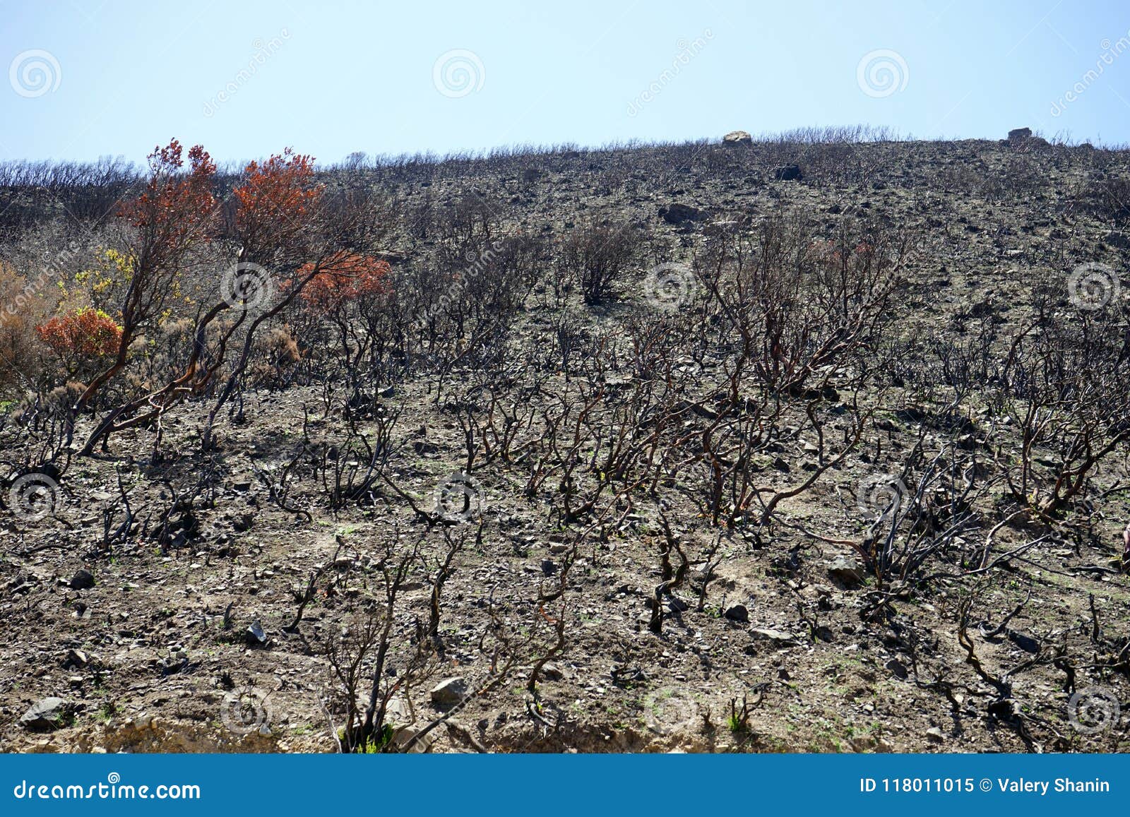 Burned slope of rock stock image. Image of slope, mount - 118011015