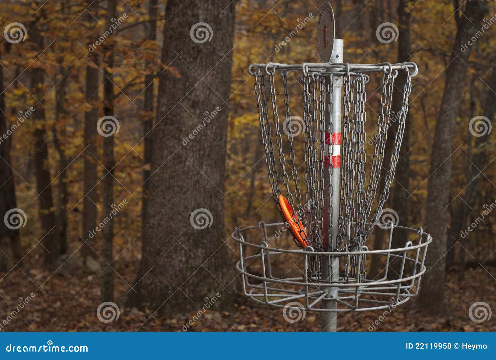 Disc Golf stock photo. Image of leisure, plastic, games - 22119950