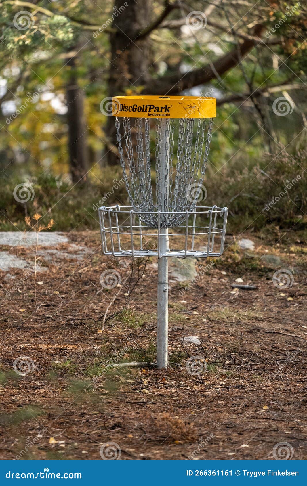 Disc Golf Basked in a Forest.. Editorial Photo - Image of grass ...