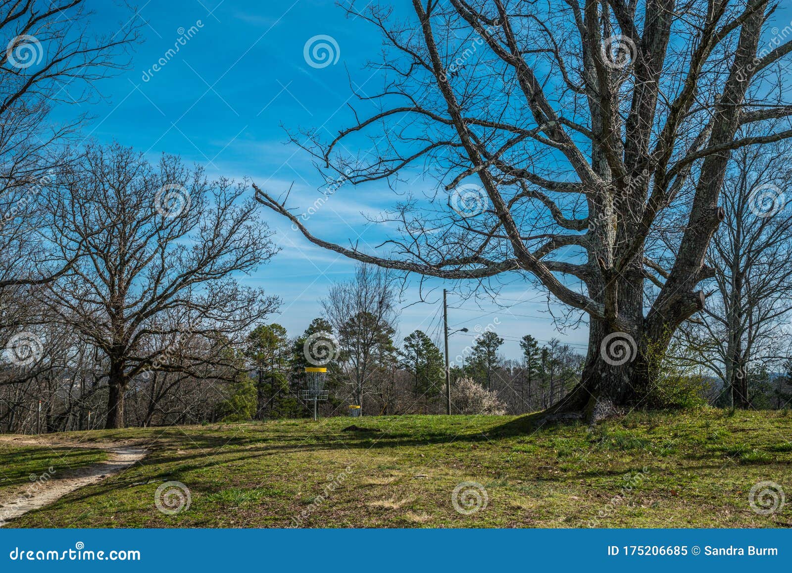 Disc Golf Baskets at a Park Stock Image - Image of goal, park: 175206685
