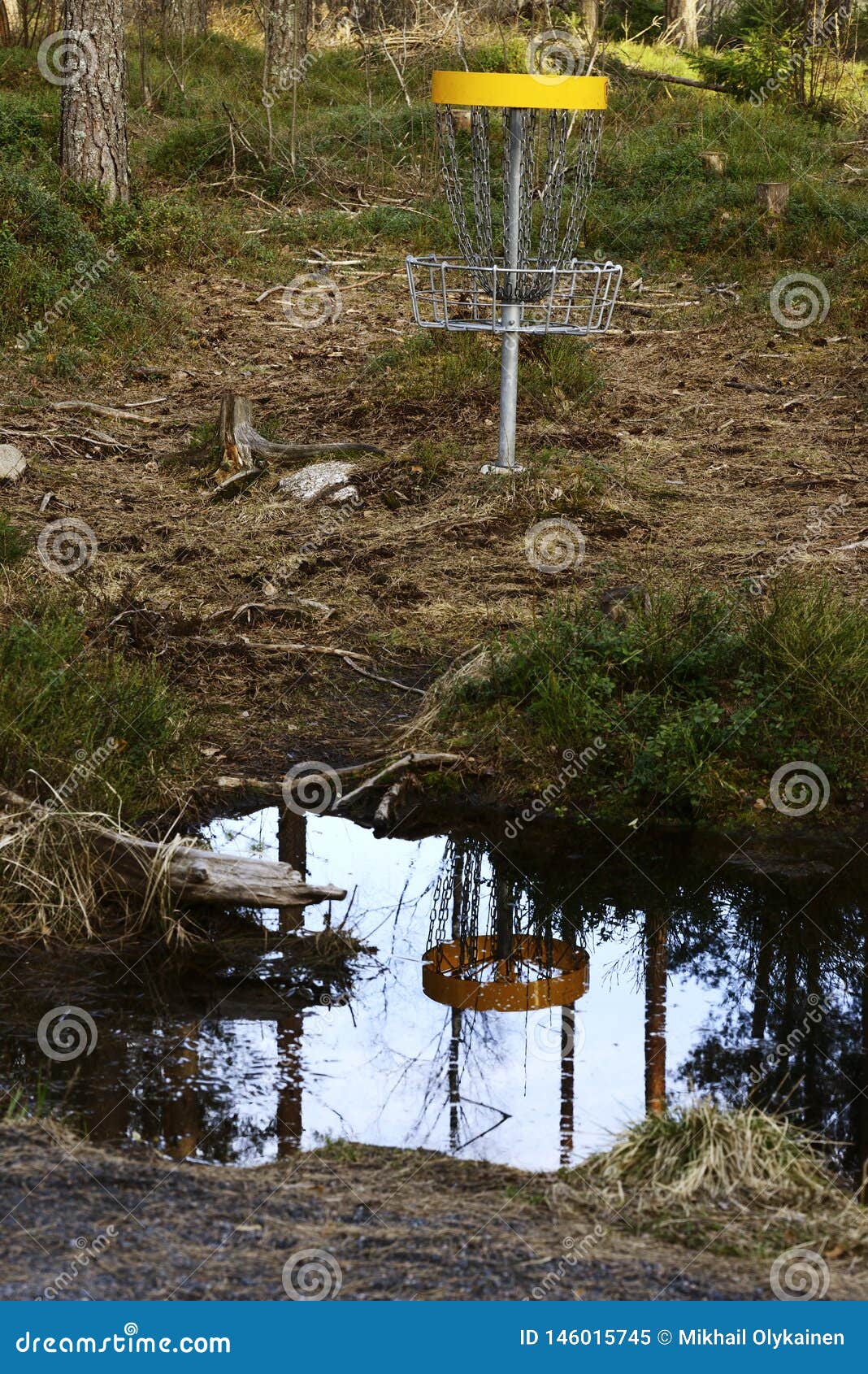 Disc Golf Hole in the Forest Stock Image - Image of competition ...