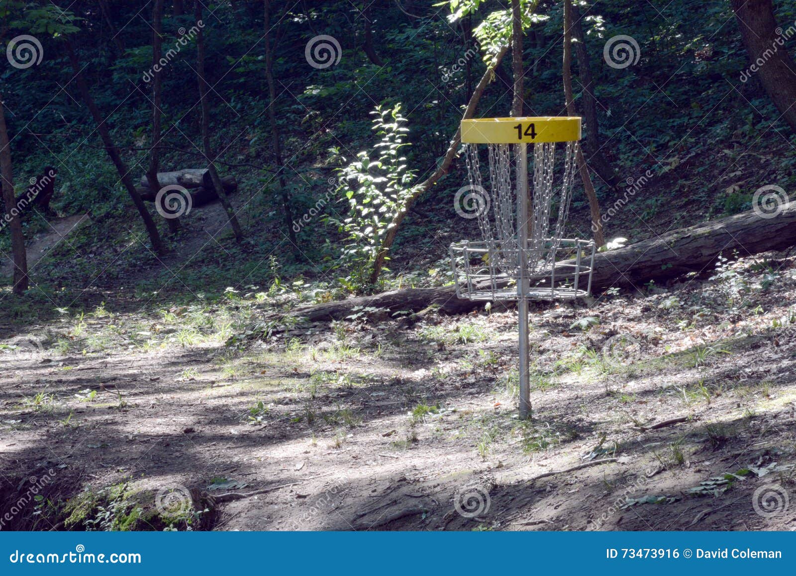 Disc golf stock photo. Image of forest, disc, hole, recreation - 73473916