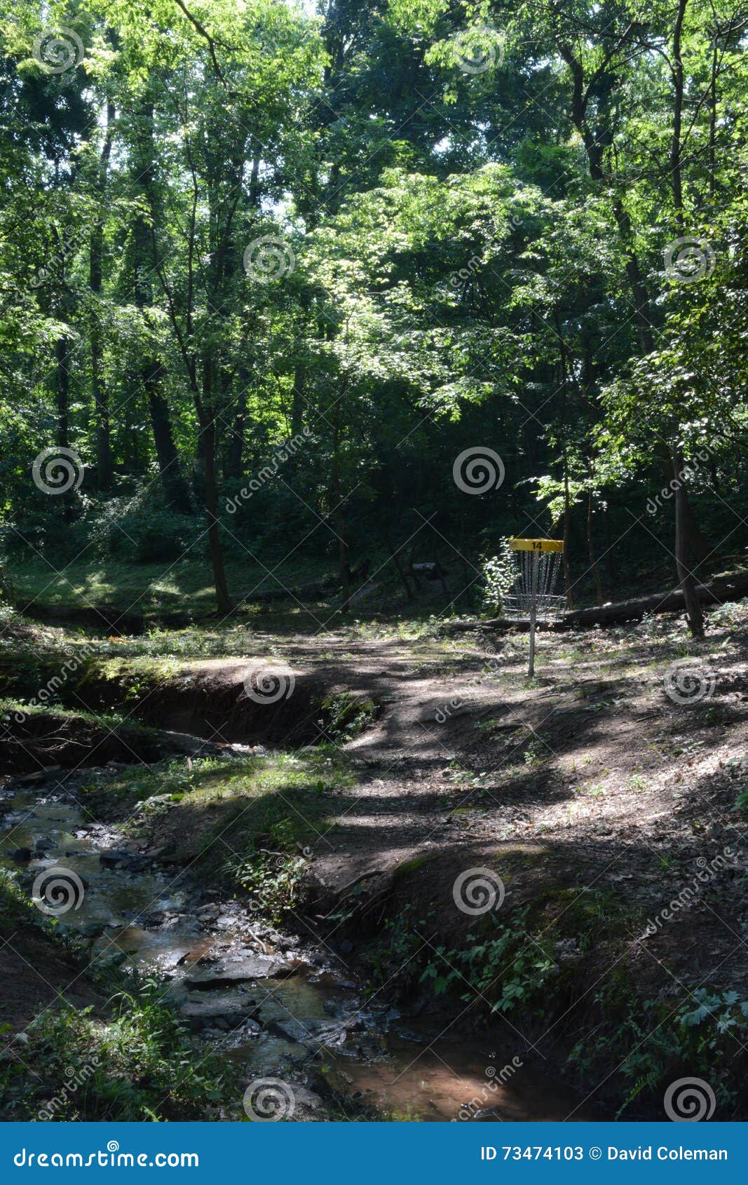 Disc golf stock image. Image of chain, pole, tree, forest - 73474103