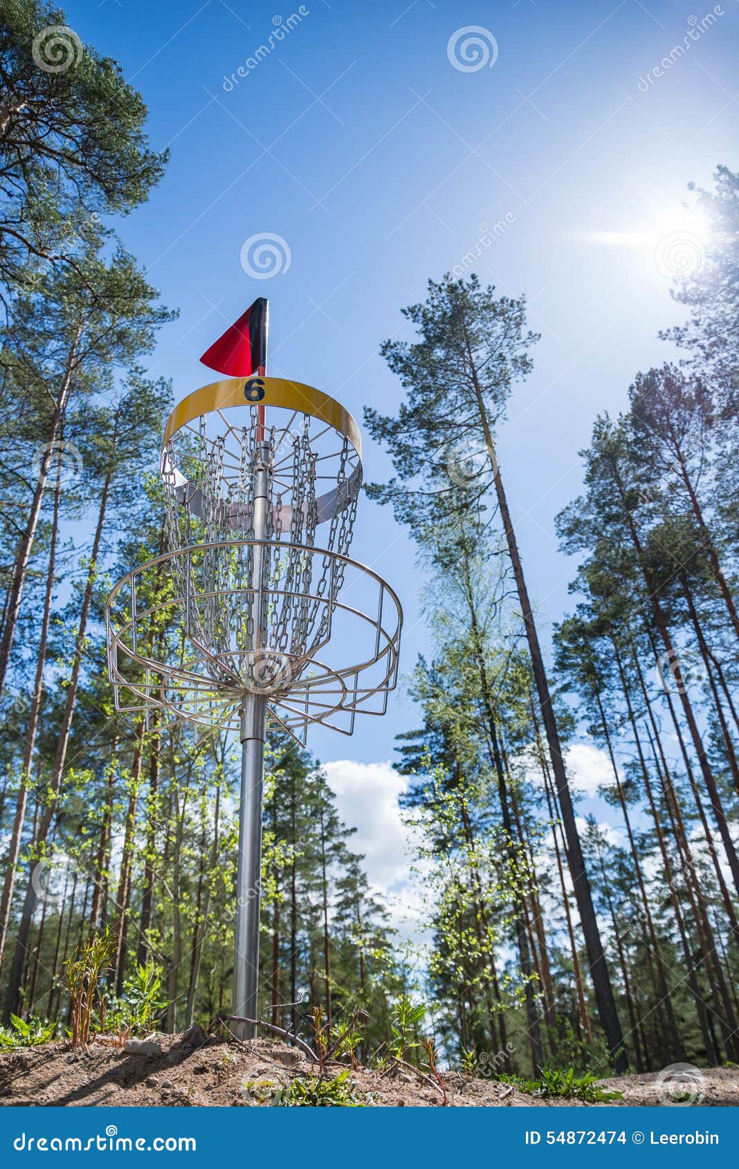 Disc Golf Hole in the Woods Stock Photo - Image of basket, activity ...