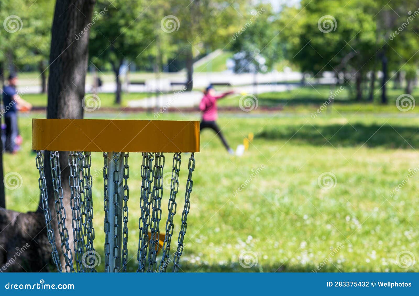 Disc Golf Player Throwing a Flying Disc in the Public Park Stock Photo ...