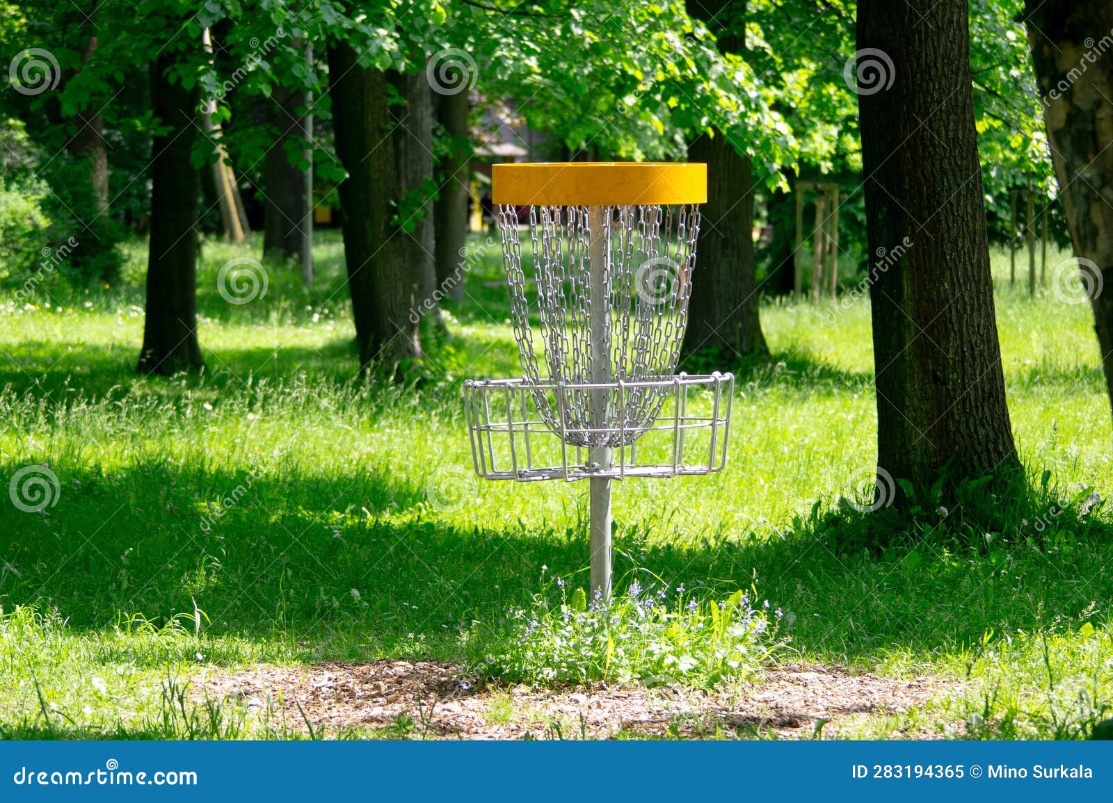 Disc Golf Target Basket in Forest for Popular Leisure Activity Stock ...