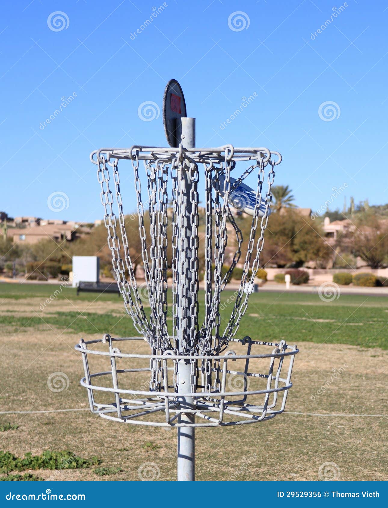 USA: Disc Golf - a Disc Hits the Disc Catcher Stock Photo - Image of ...