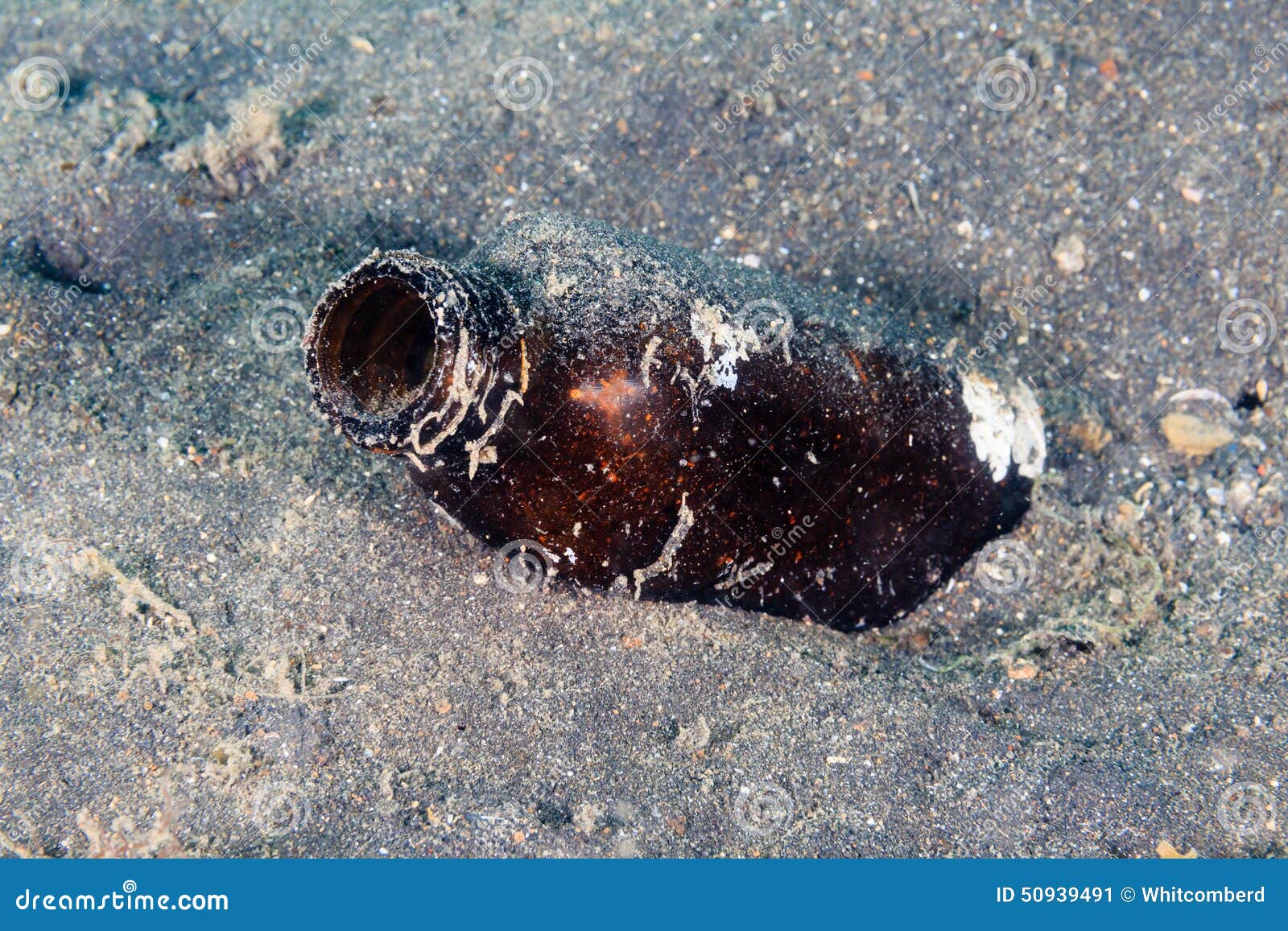 Discarded Bottle on the Seabed Stock Image - Image of mabul, black ...