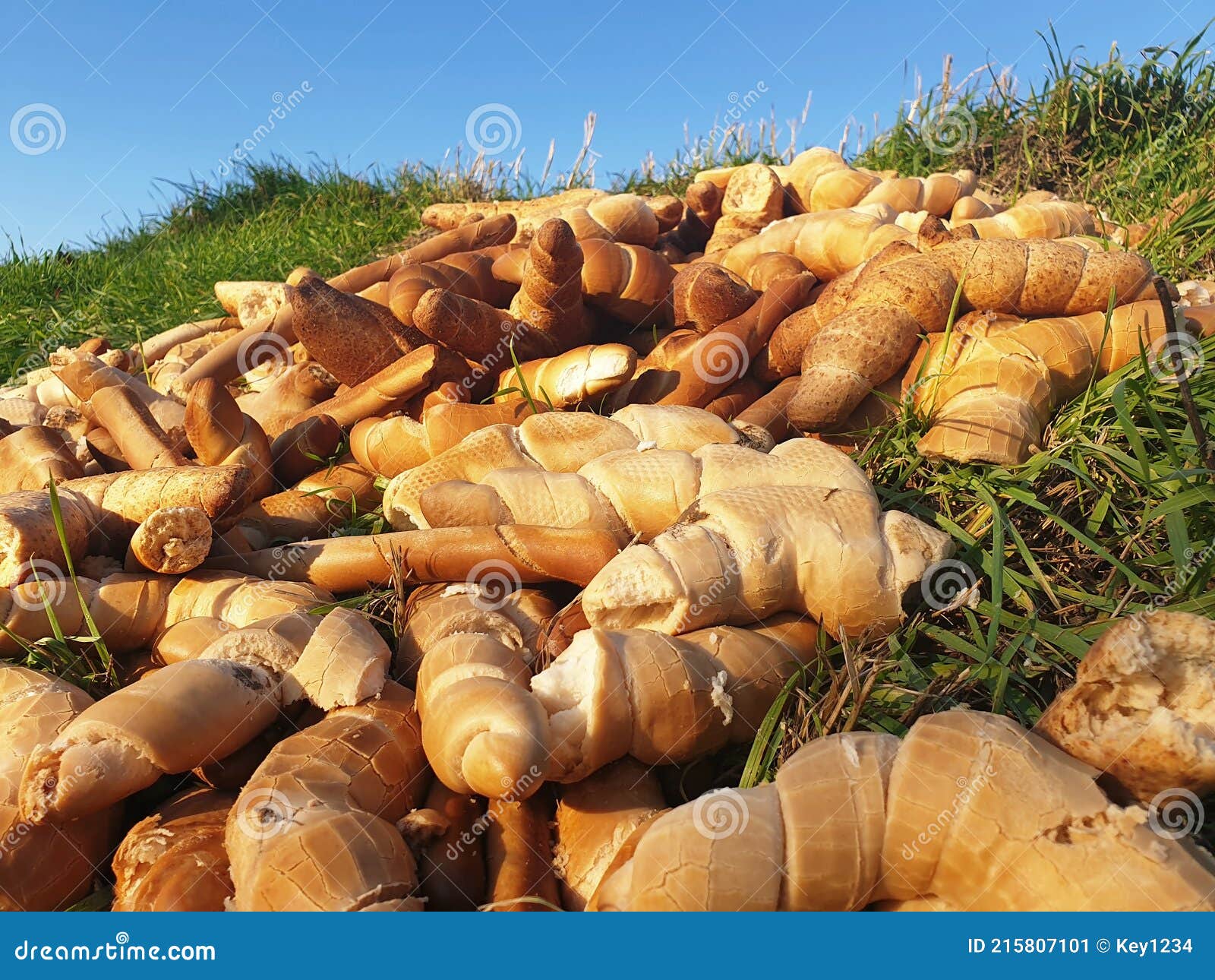 Discarded Bread in the Grass on the Ground Stock Image - Image of ...