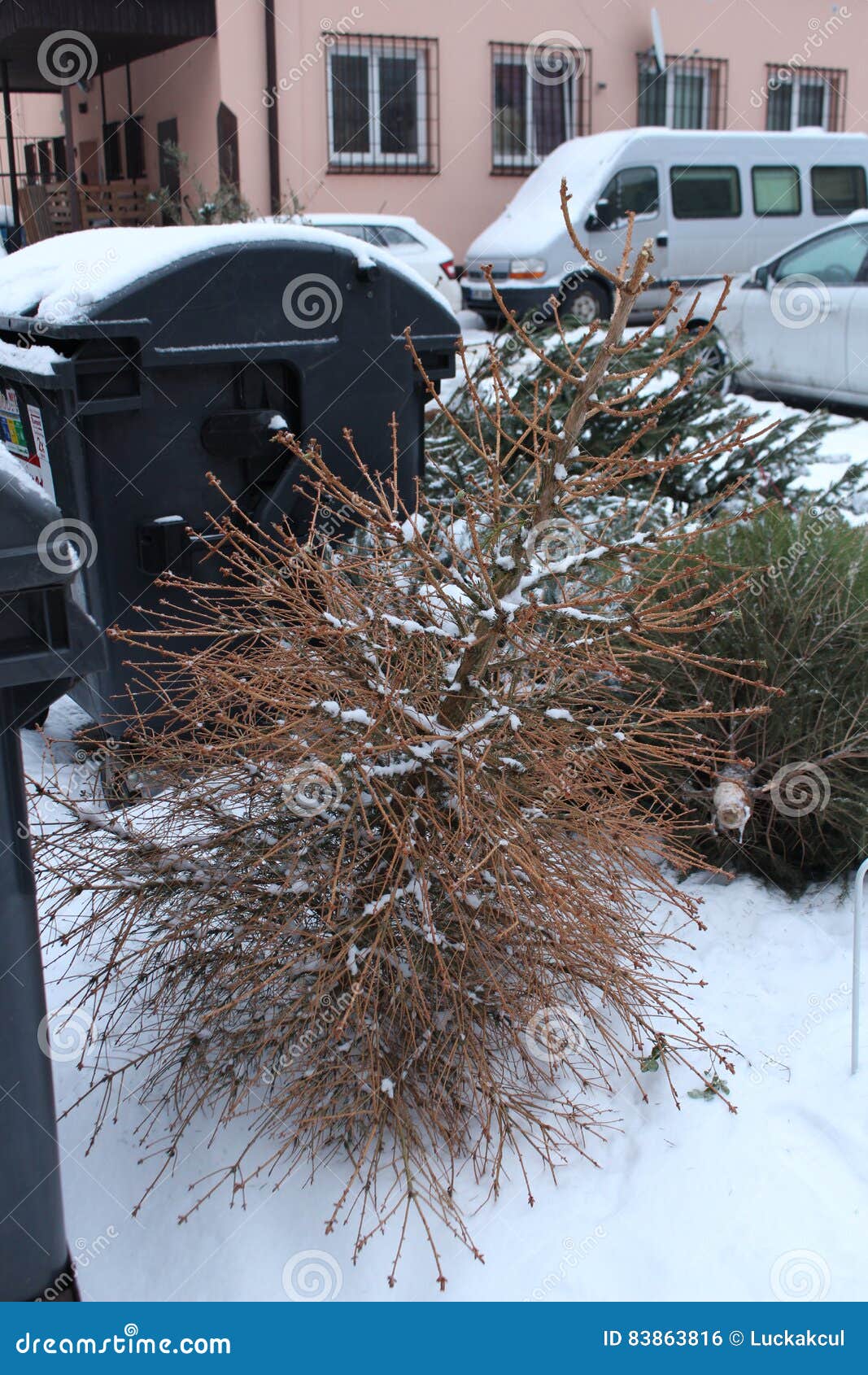 Discarded Christmas Tree - Christmas is Over Stock Photo - Image of ...