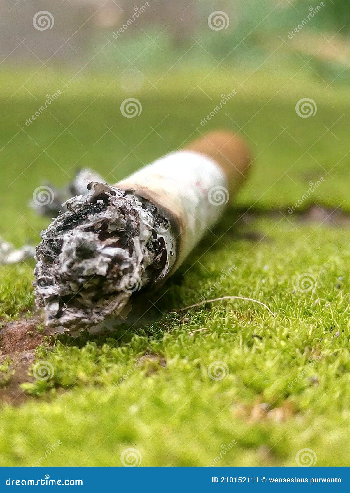Discarded cigarette butts stock image. Image of toxin - 210152111