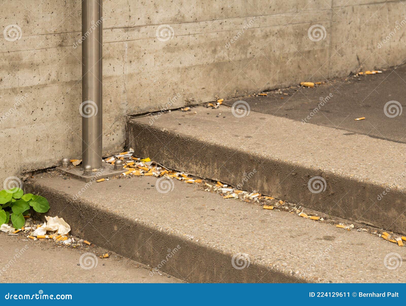 Discarded Cigarettes on a Staircase Stock Image - Image of cigarettes ...