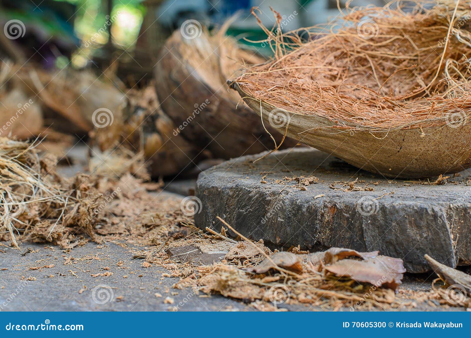 Discarded Coconut Husk or Coconut Shell. Stock Photo - Image of bark ...