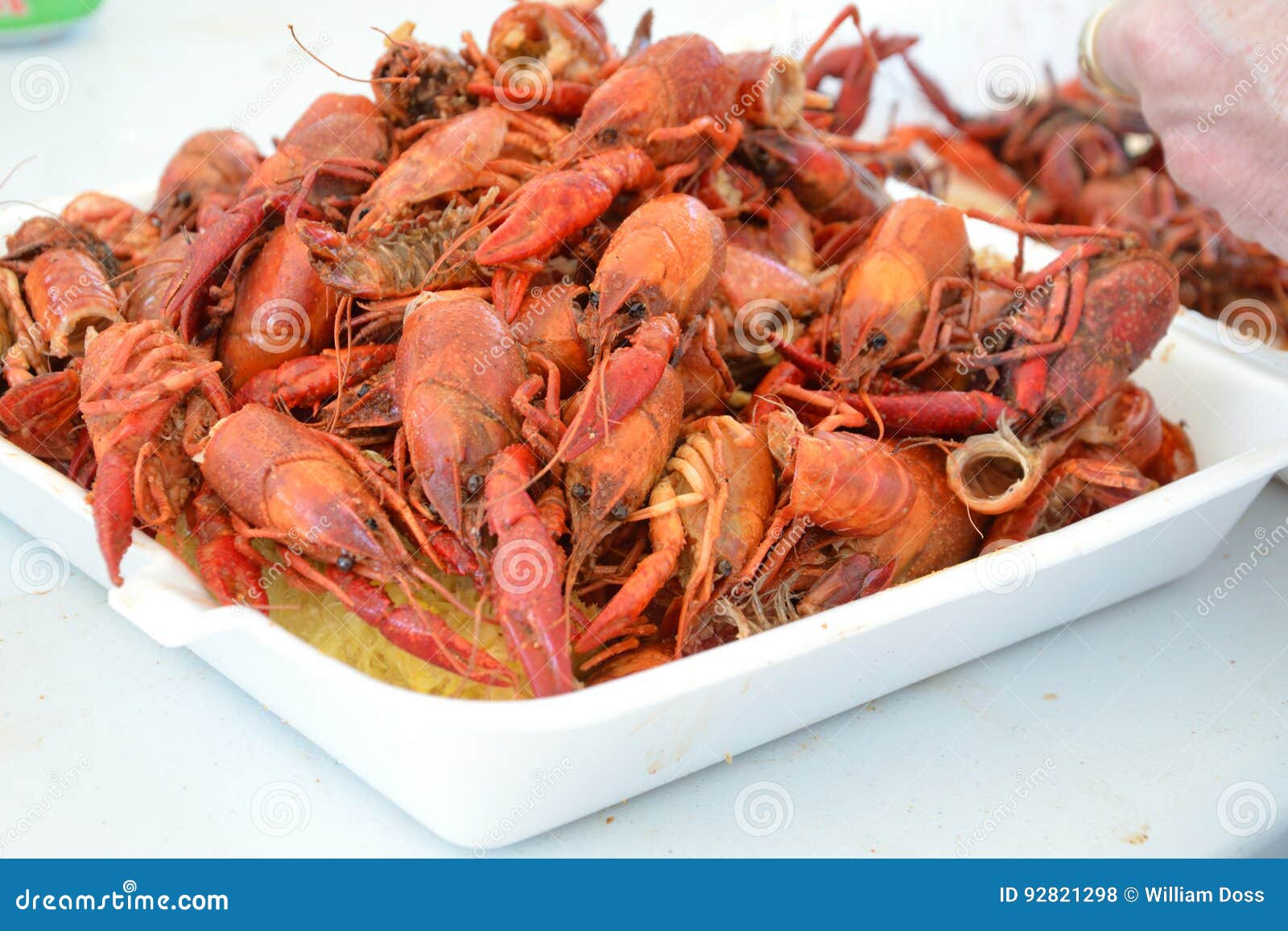 Discarded Crawfish heads stock photo. Image of remains - 92821298