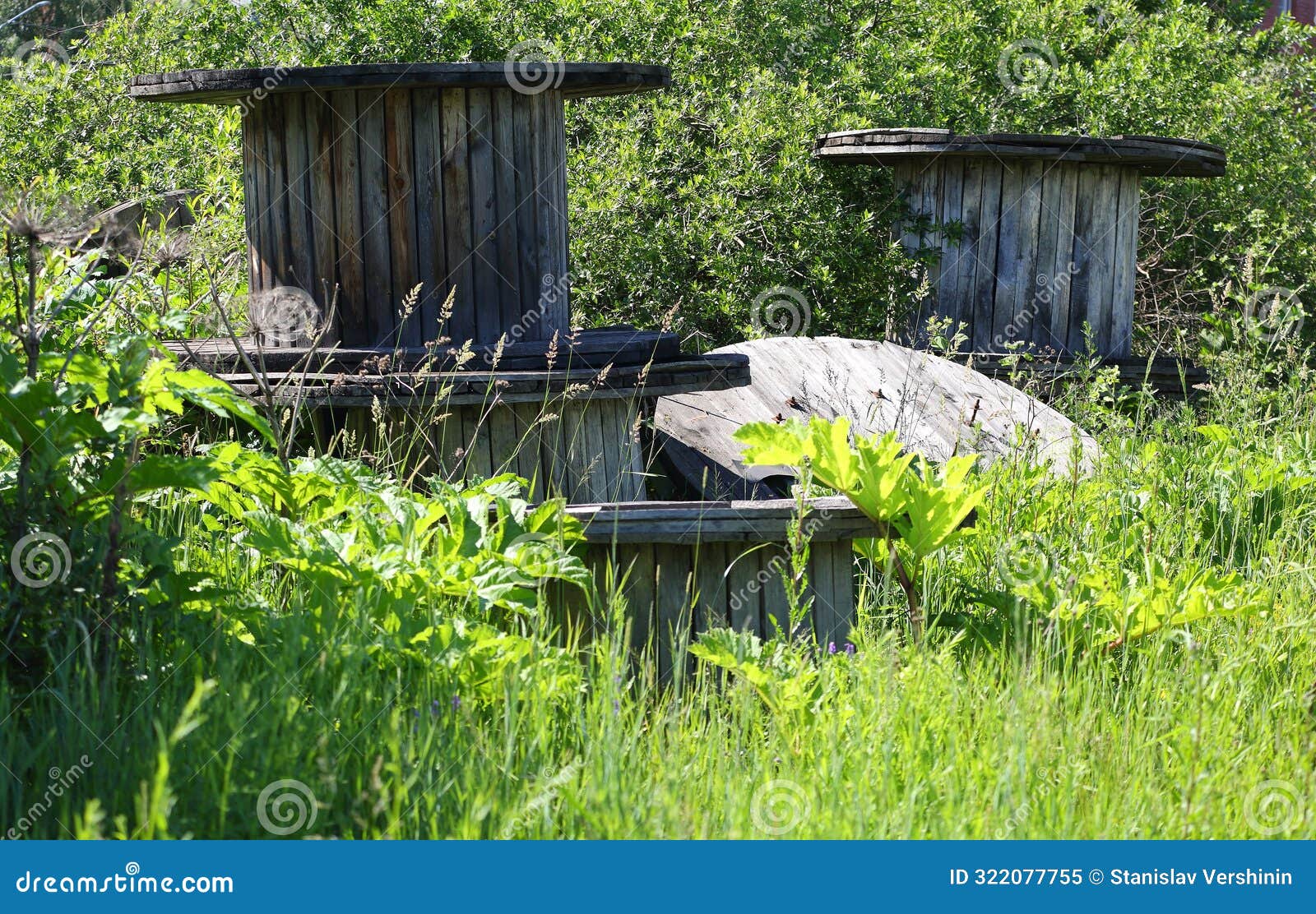 A Discarded Empty Pizza Box Lies On The Ground. In The Box, The Ants ...