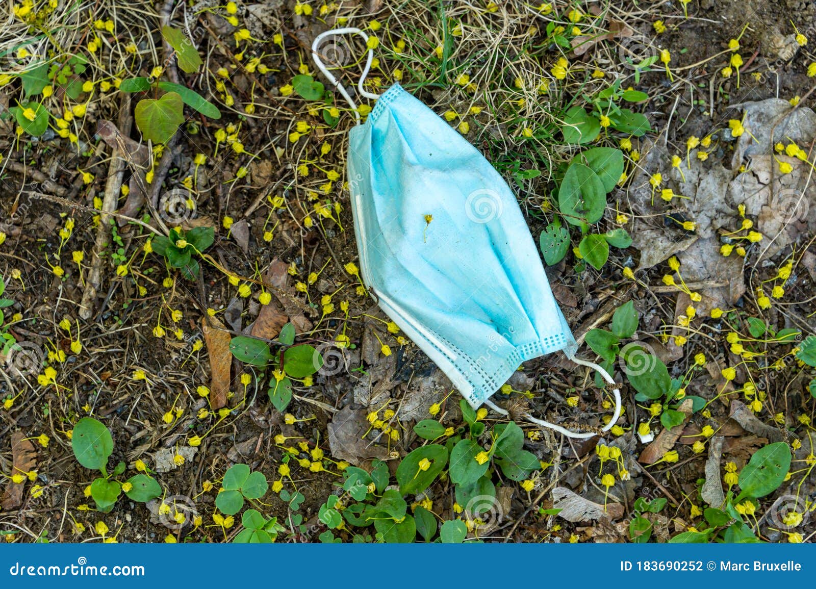 Discarded Face Mask Dumped on the Ground Stock Photo - Image of park ...