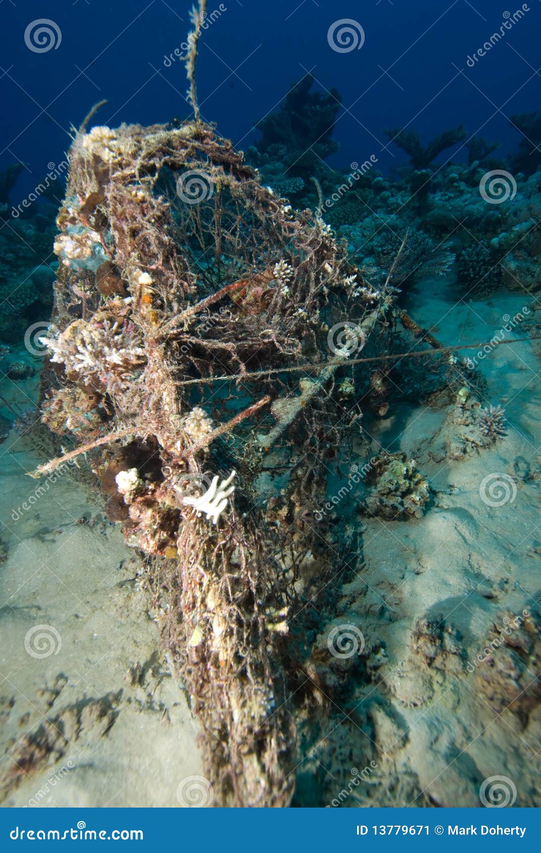 Discarded Fishing Equipment Stock Image - Image of environment ...