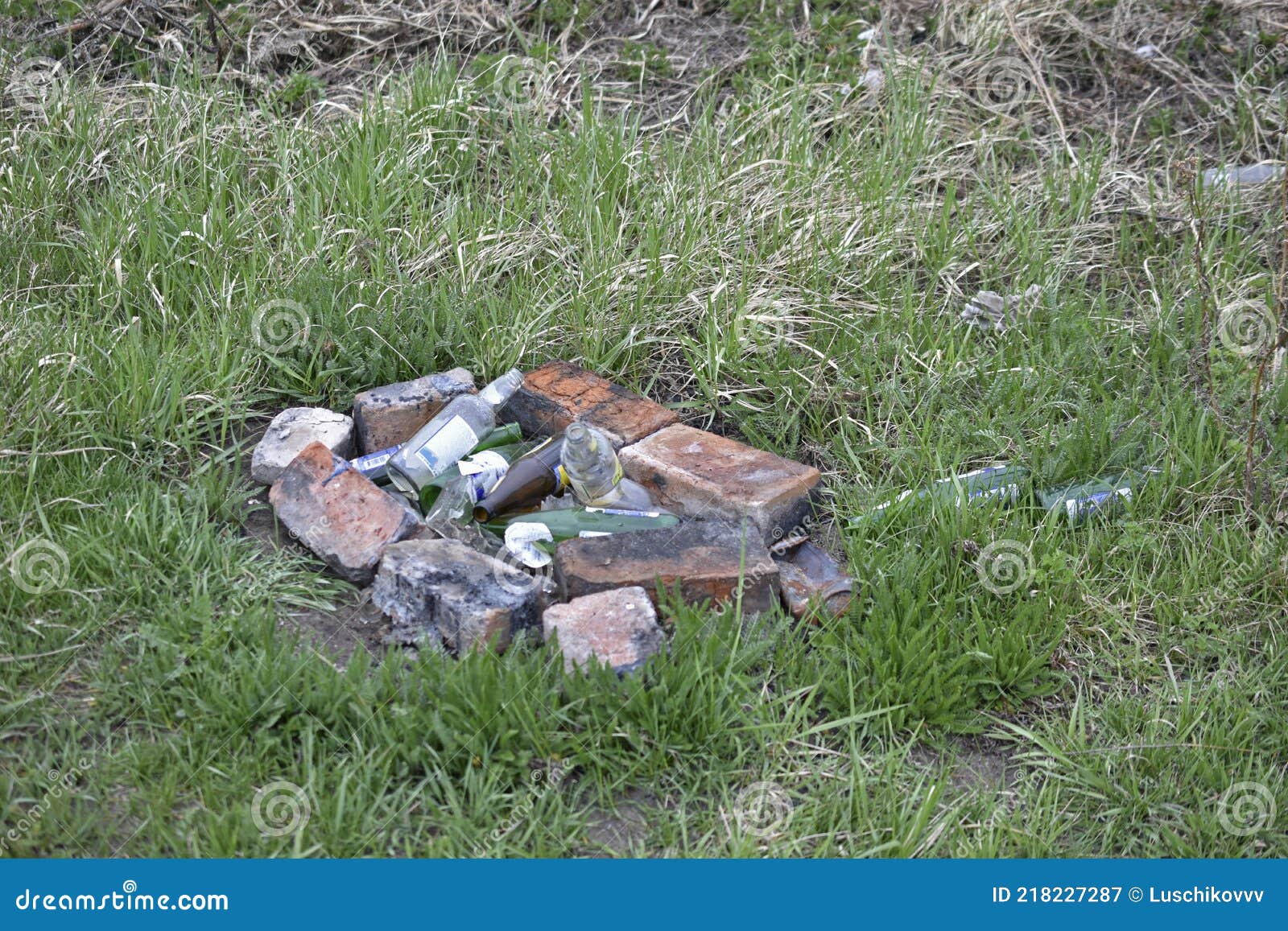 Discarded Garbage in the Wild Environmental Pollution Stock Image ...