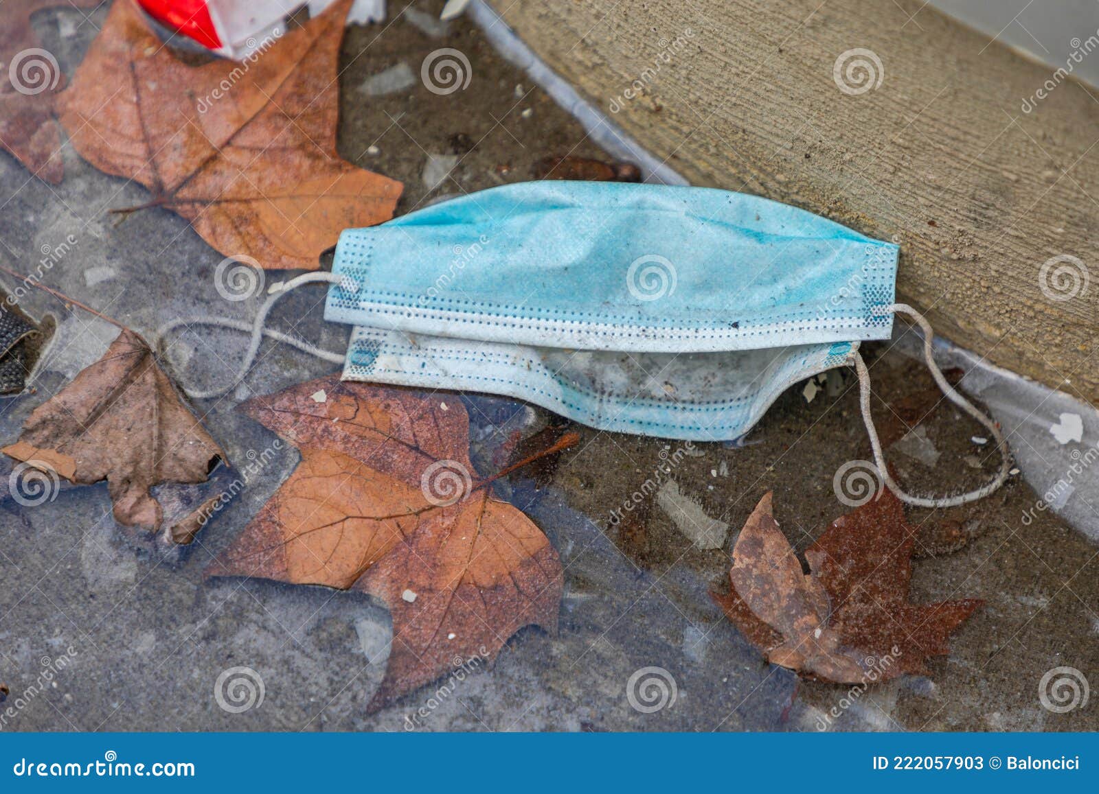 Discarded Mask Autumn stock image. Image of improperly - 222057903