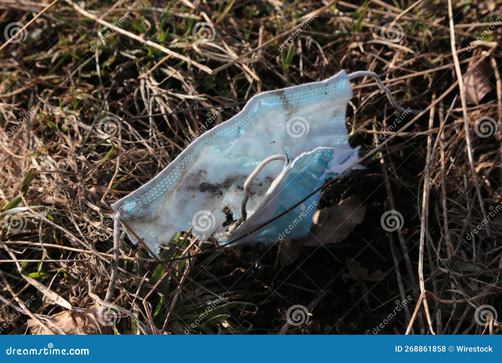 Discarded Mask in a Meadow. Concept of Pollution Stock Photo - Image of ...