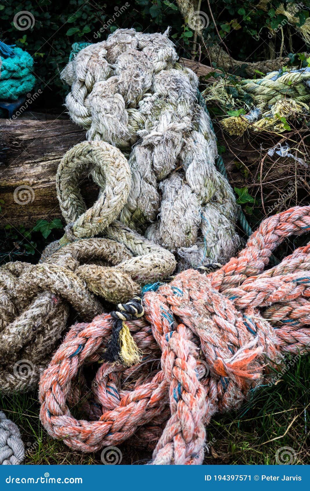 Discarded Old Rope stock image. Image of rubbish, color - 194397571