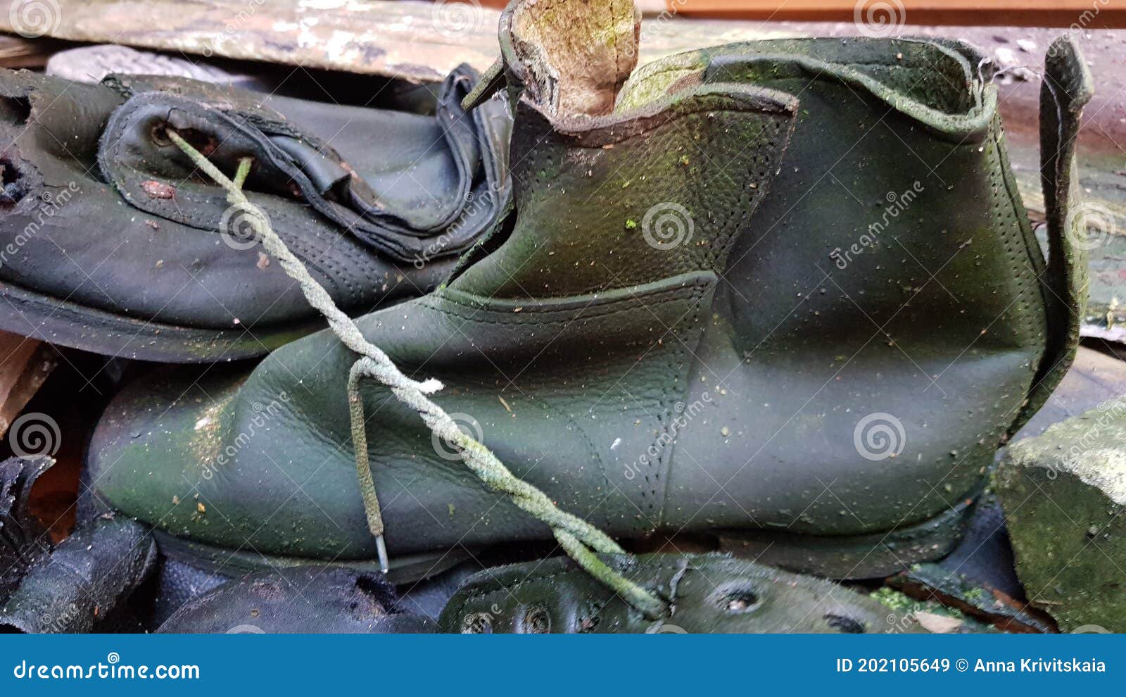 Old, Discarded, Leather, Black Military Boots, In The Trash Royalty ...