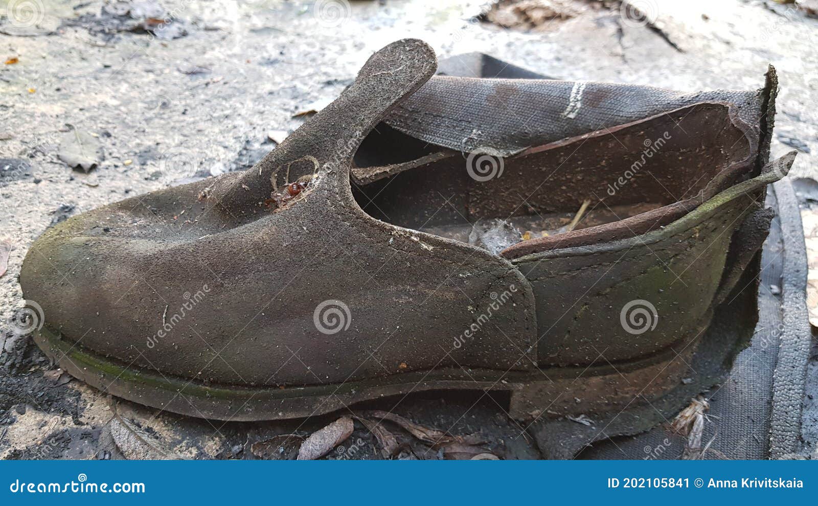 Old, Discarded, Leather, Black Military Boots, In The Trash Royalty ...