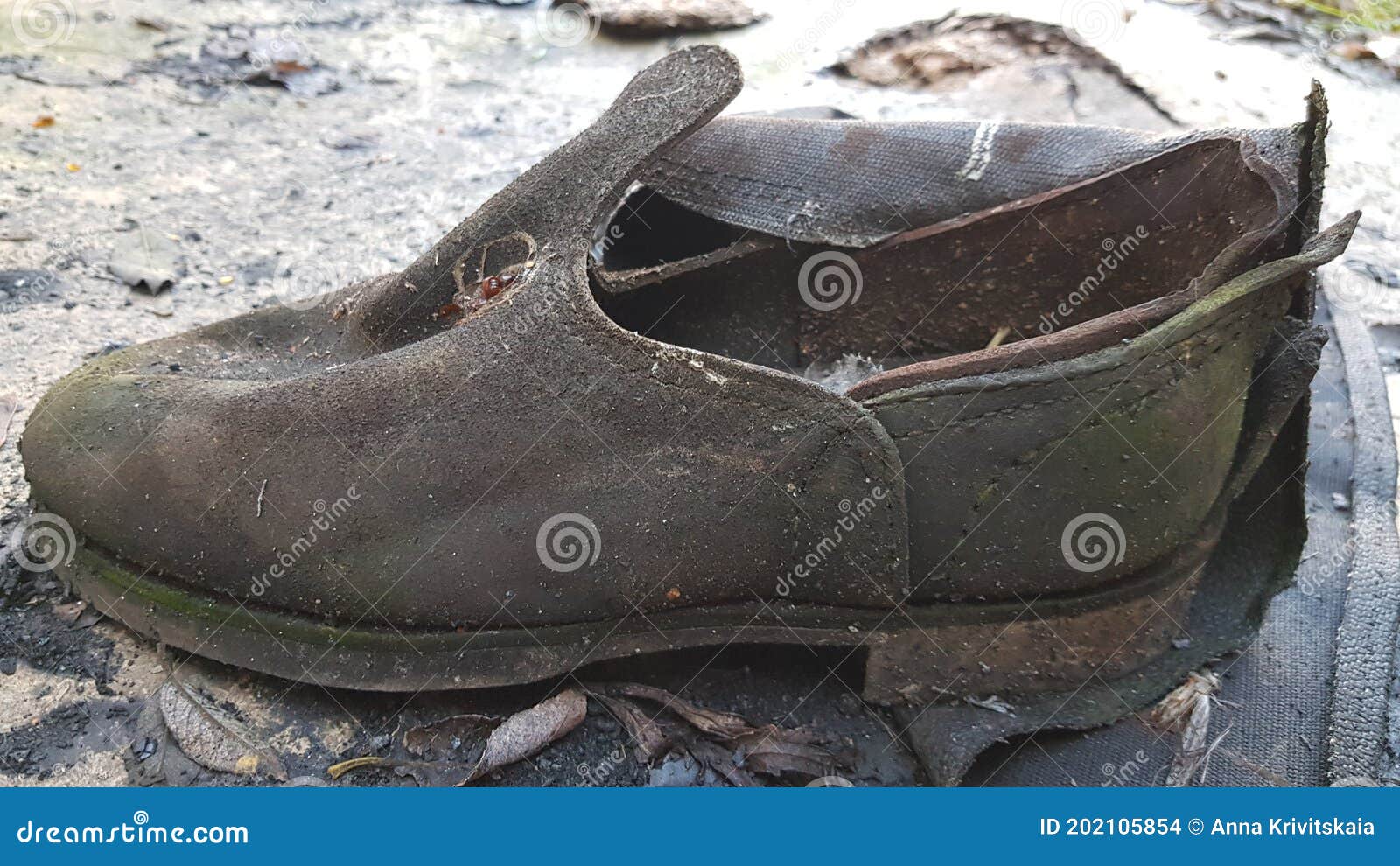 Old, Discarded, Leather, Black Military Boots, In The Trash Royalty ...