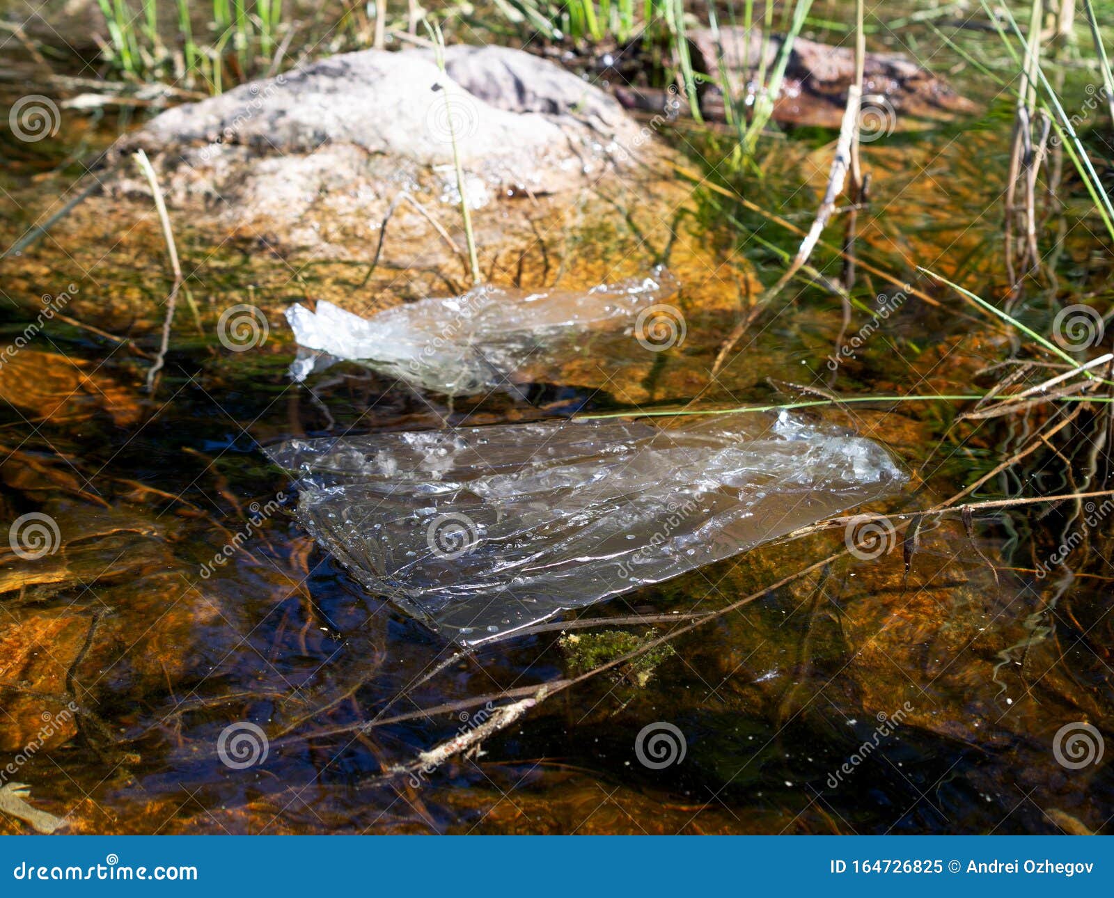 Underwater Pollution. Underwater Turtle Floating Among Plastic Bags ...