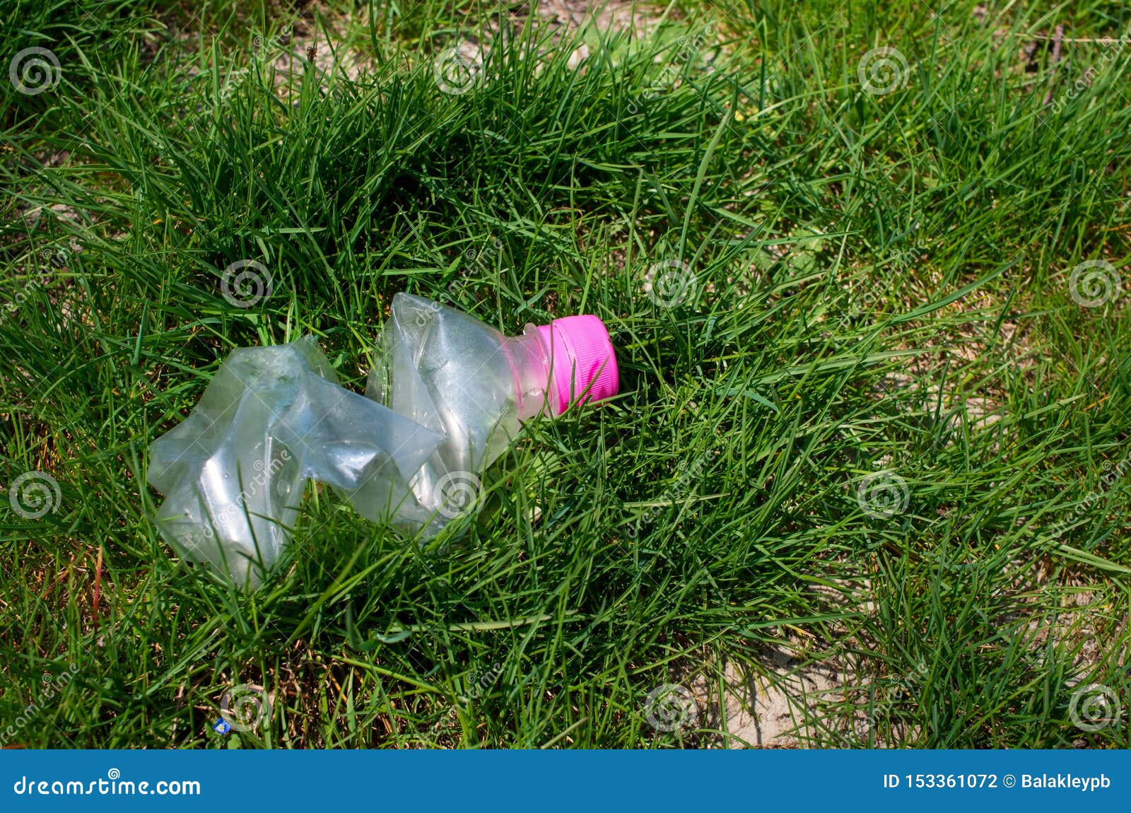 Discarded plastic bottle stock photo. Image of dumping - 153361072