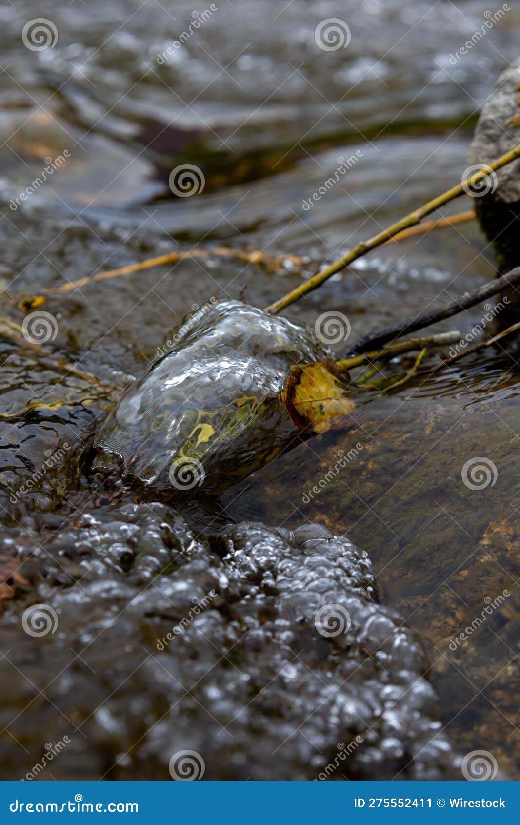 Discarded Plastic Bottle in a River, Partially Submerged by the Moving ...
