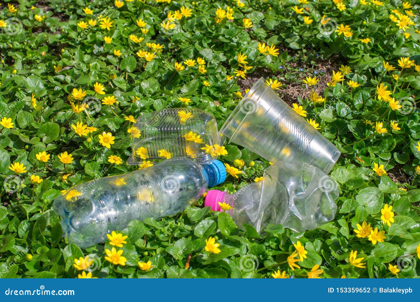 Discarded Plastic Bottles and Packaging in the Grass Stock Photo ...