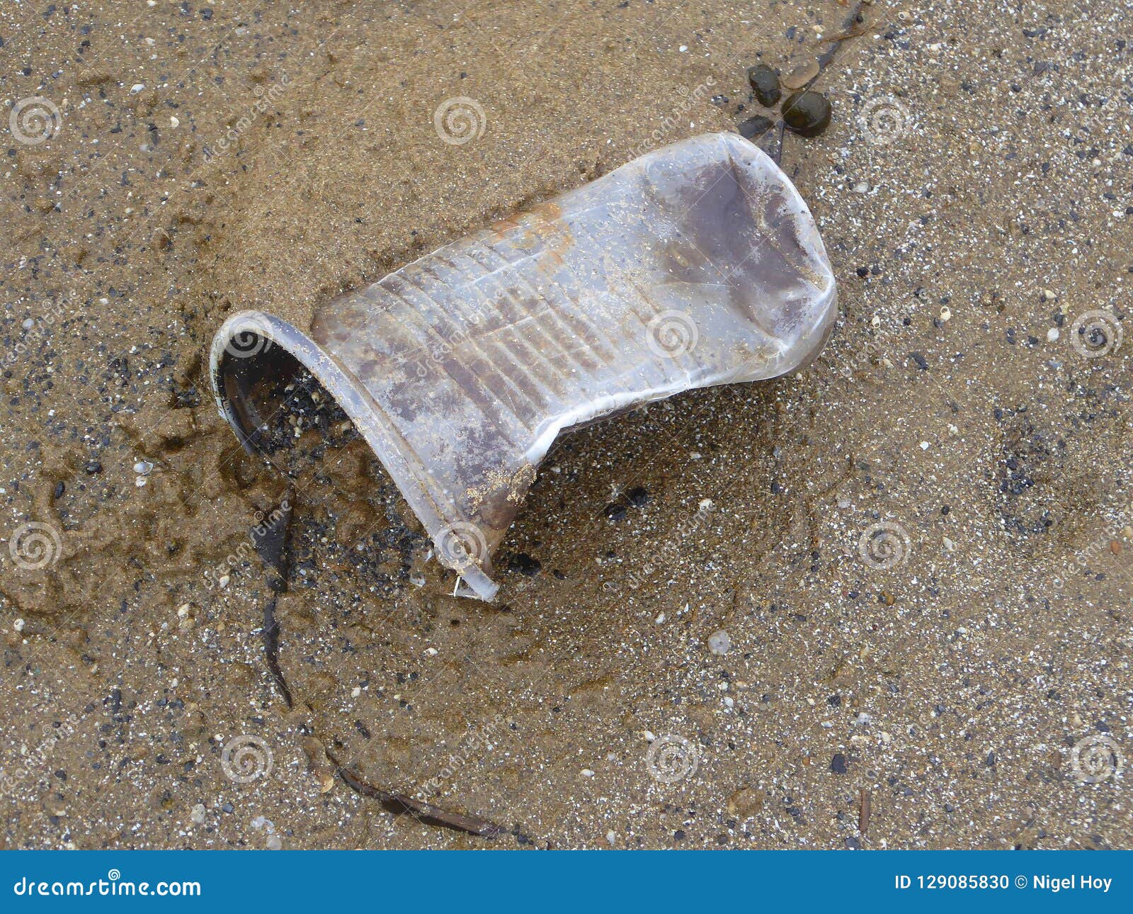 Plastic Cup Litter on Beach Stock Photo - Image of marine, lying: 129085830