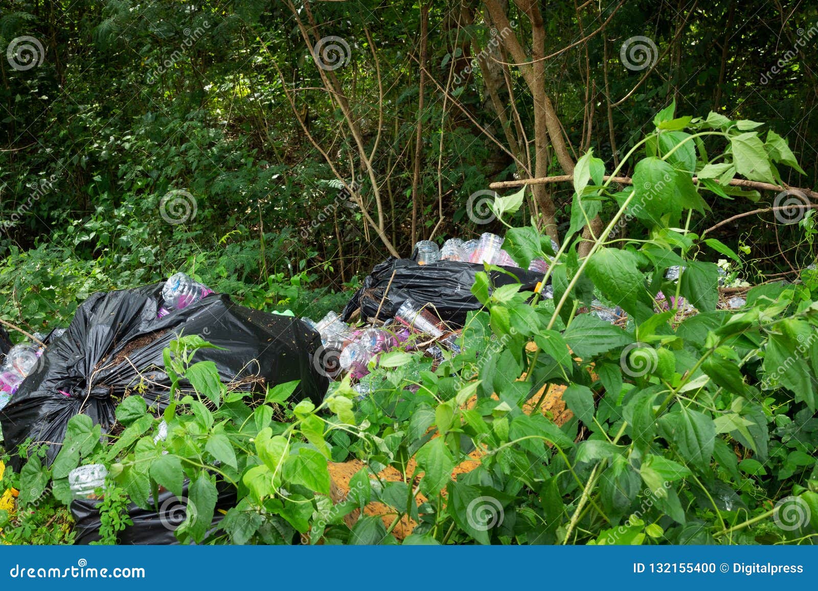 Plastic Waste in the Nature Stock Photo - Image of social, nature ...