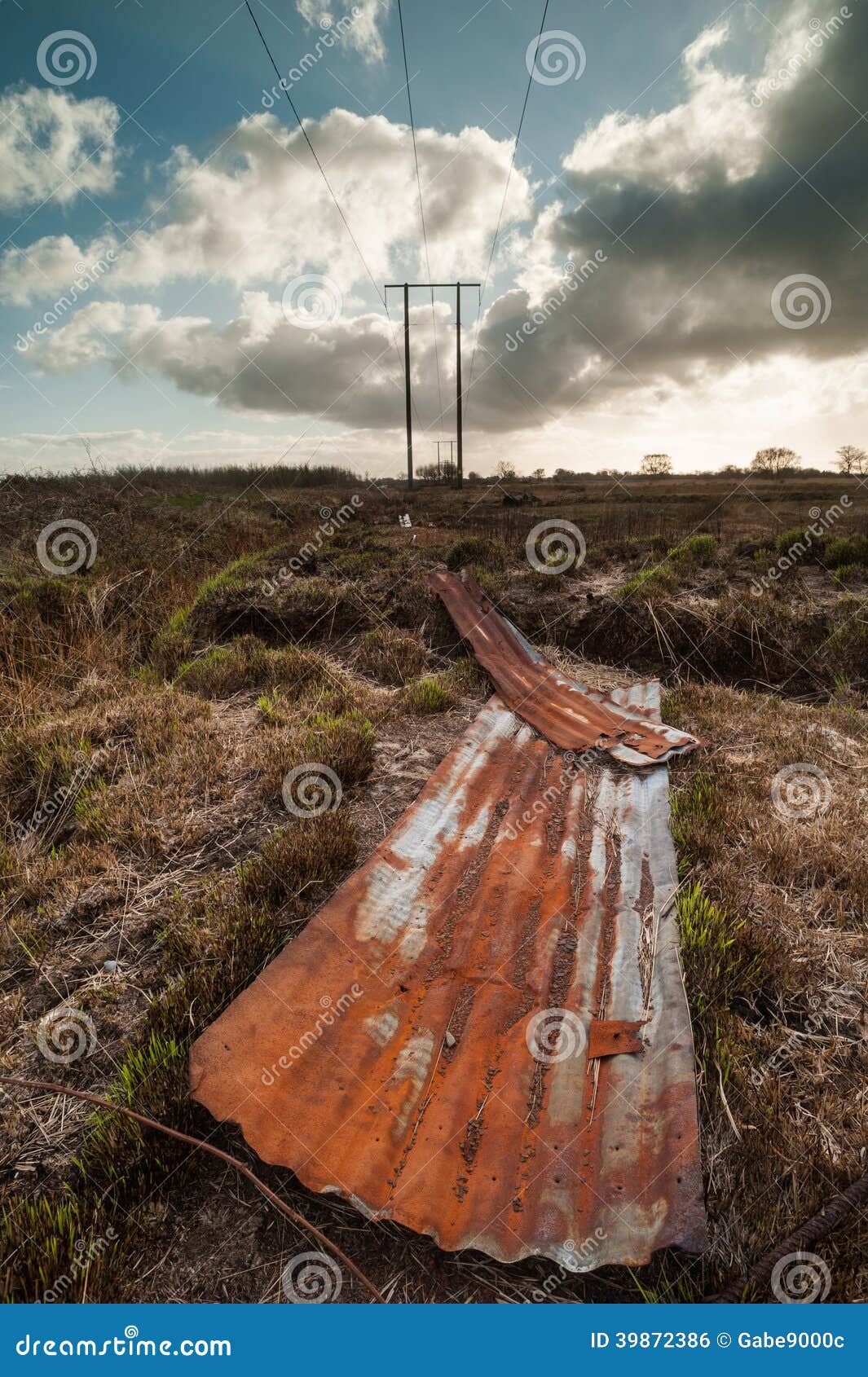 Discarded Rusty Corrugated Iron in a Peat Bog Field Stock Photo - Image ...