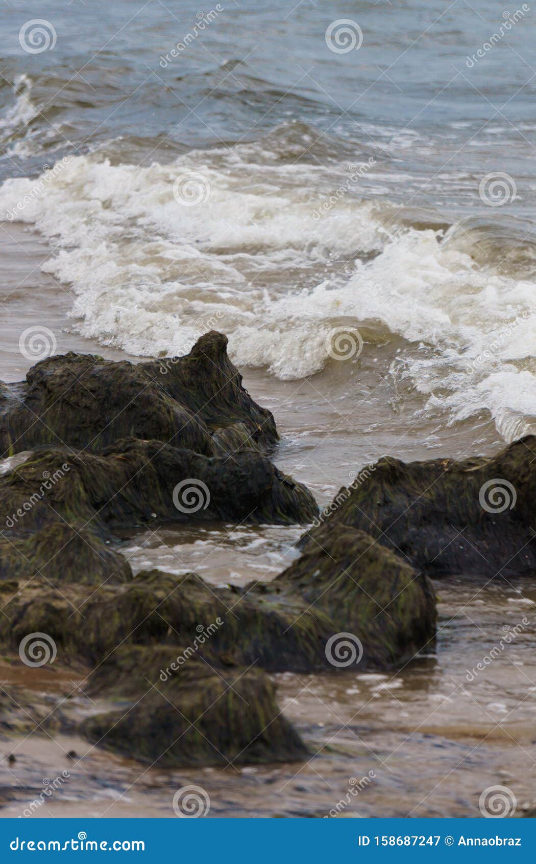 Discarded Sea Mud on the Shore of the Baltic Sea Stock Image - Image of ...