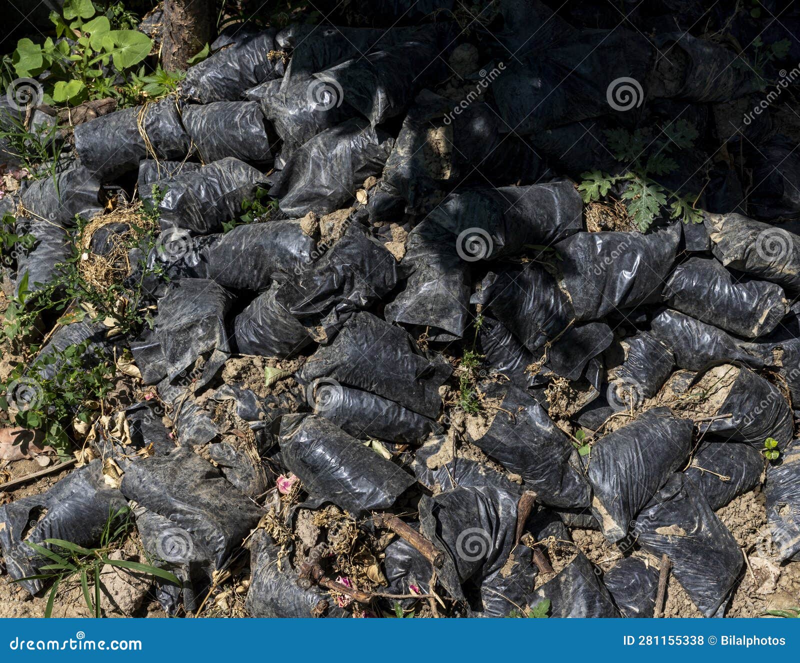 Discarded Seeds or Nursery Plastic Bags Filled with Soil in the Nursery ...