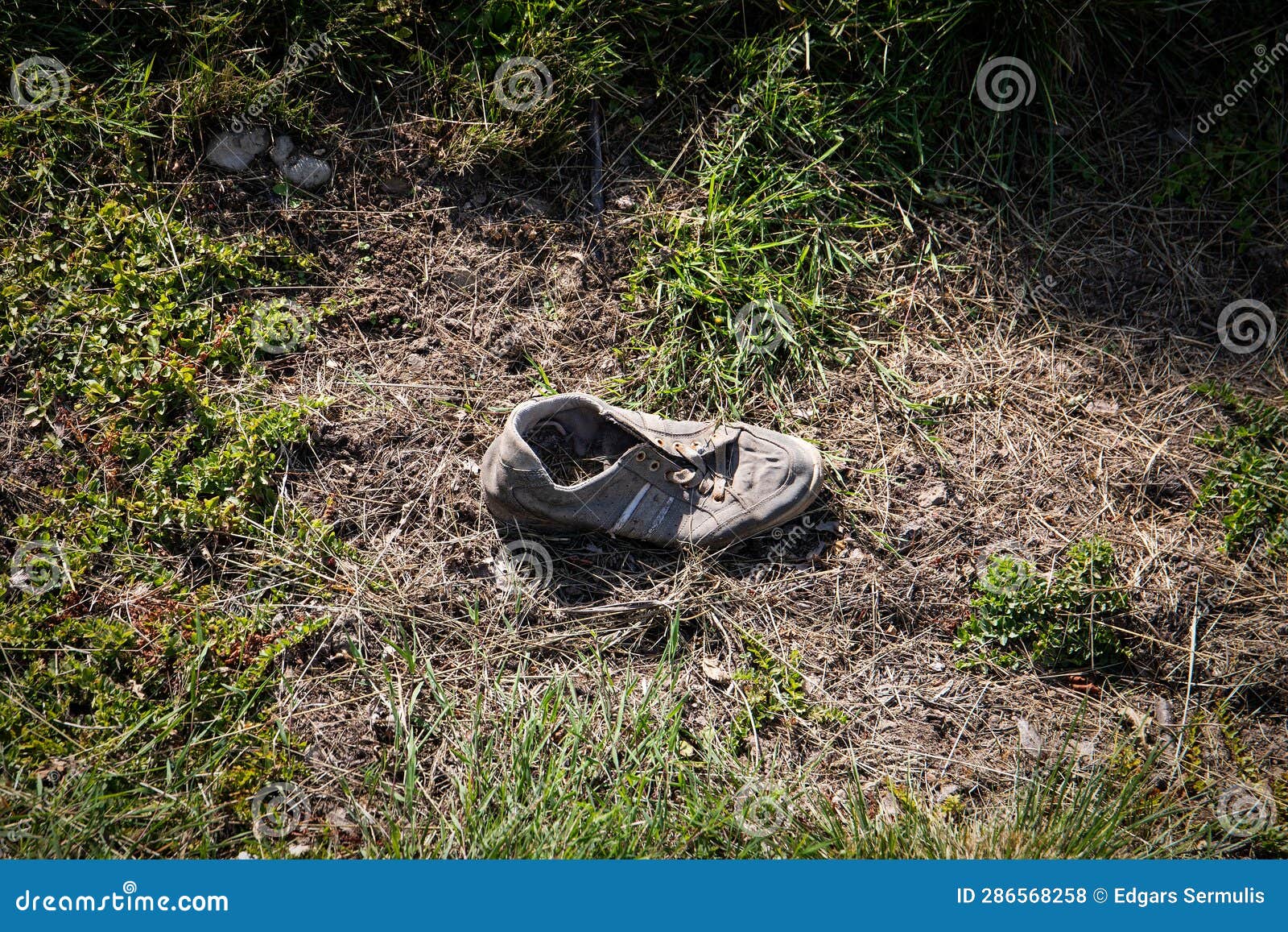 Discarded Shoes in Nature. Pollution and Waste Recycling Stock Photo ...